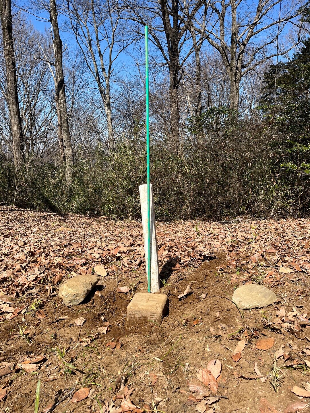 samさんの投稿したフィールドメモ | YAMAP / ヤマップ