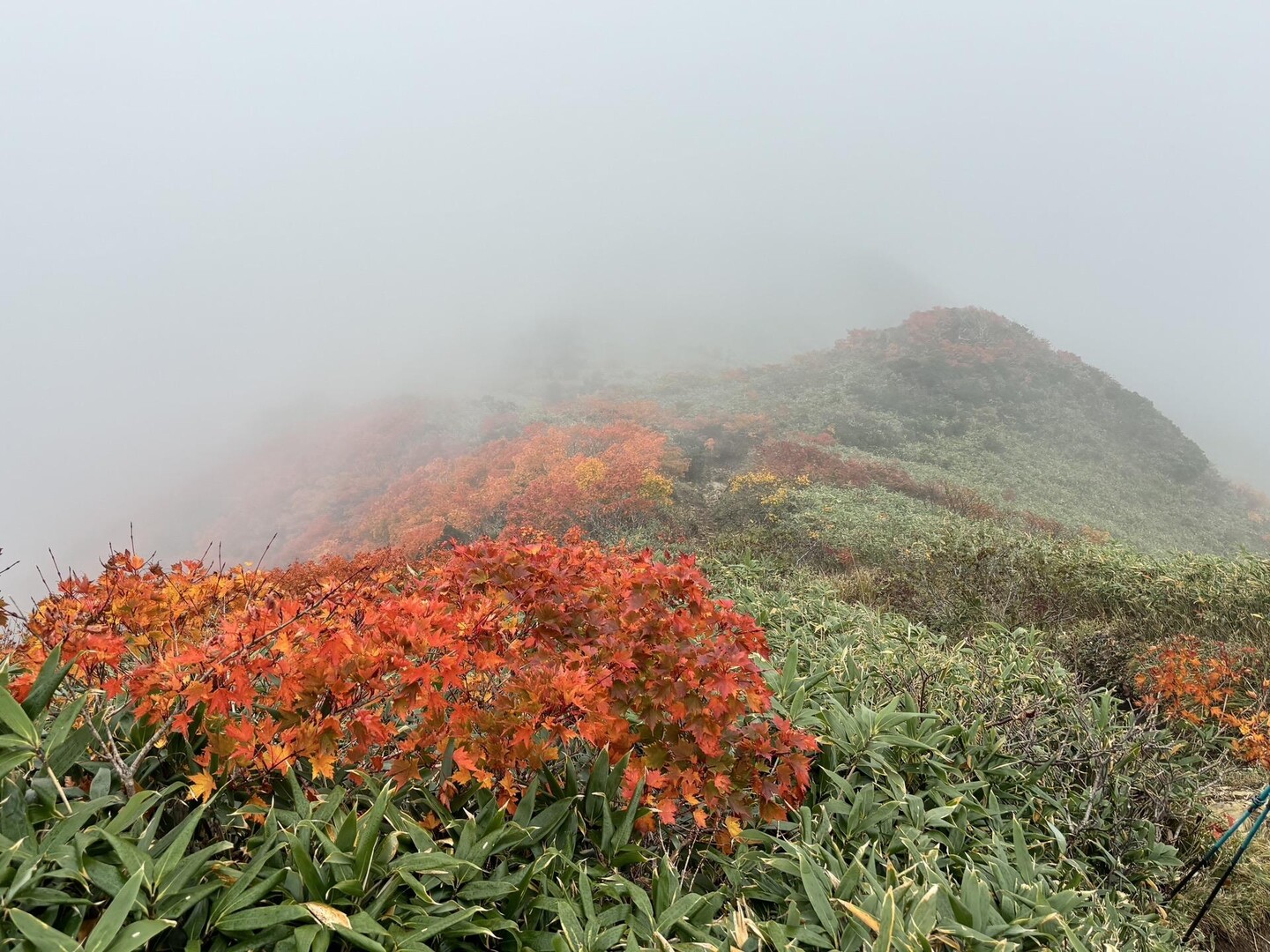 畚岳(もっこだけ) (八幡平) / nonpui(ノンプイ)さんの八幡平・源太森・安比岳の活動データ | YAMAP / ヤマップ