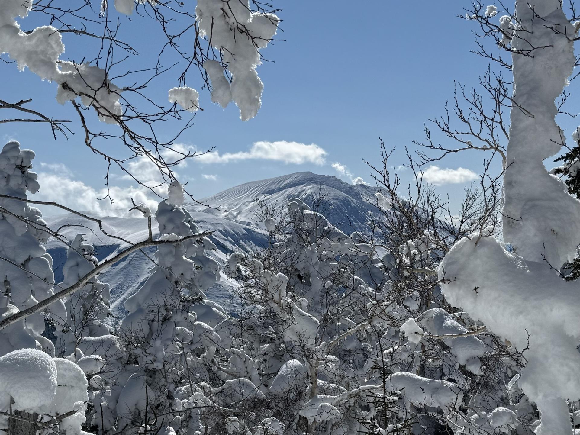 フップシ岳 / yas.さんの雌阿寒岳・阿寒富士・白湯山の活動データ | YAMAP / ヤマップ