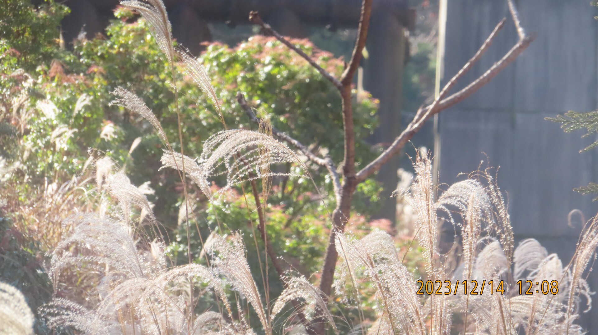 志賀越えから滋賀里アルプス / ss43mさんの比叡山・横高山・梶山の活動データ | YAMAP / ヤマップ