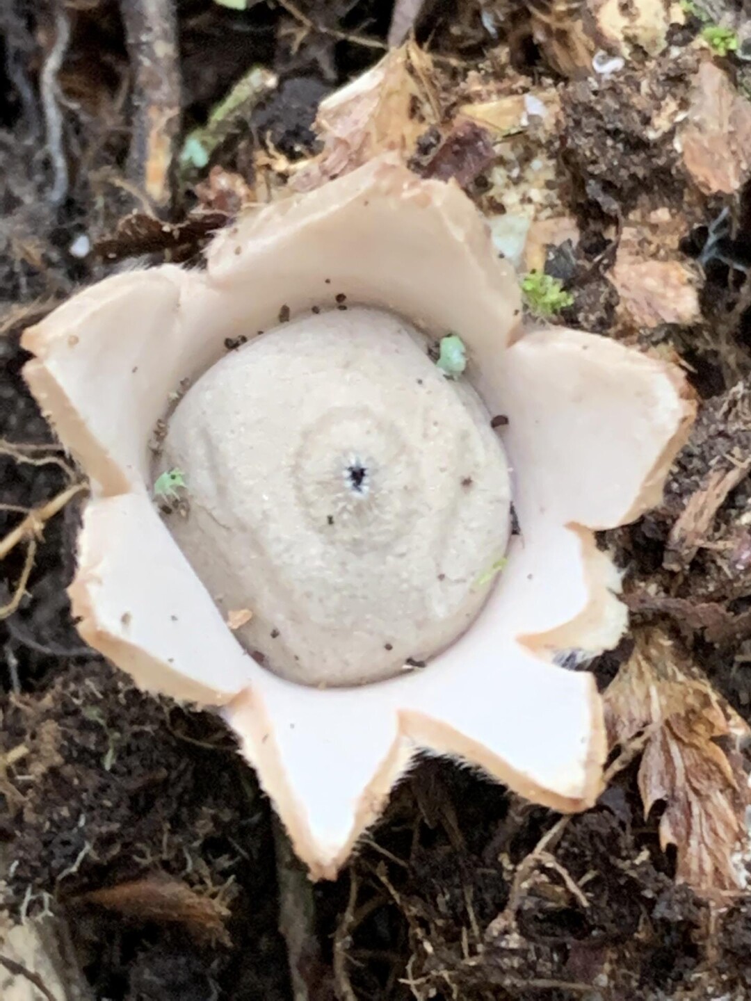 みーつけた😊 / seekaさんのモーメント | YAMAP / ヤマップ