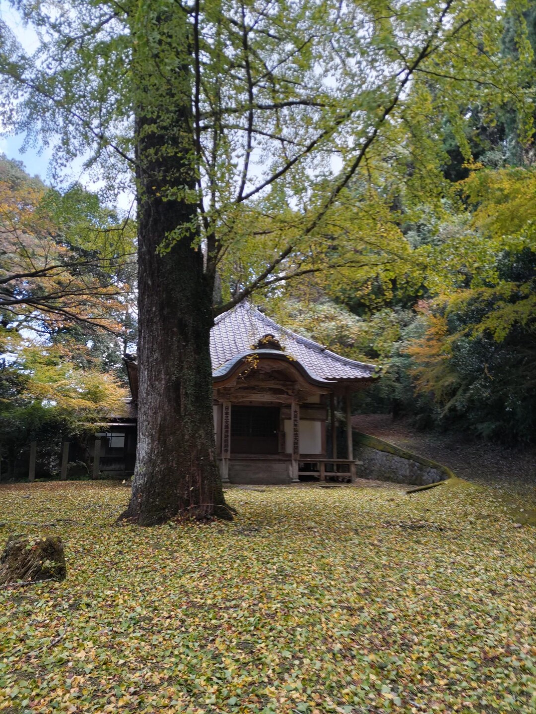 文珠山・嘉納山・源明山・嵩山 / タリスカさんの嘉納山・頂海山・周防大島の活動データ | YAMAP / ヤマップ