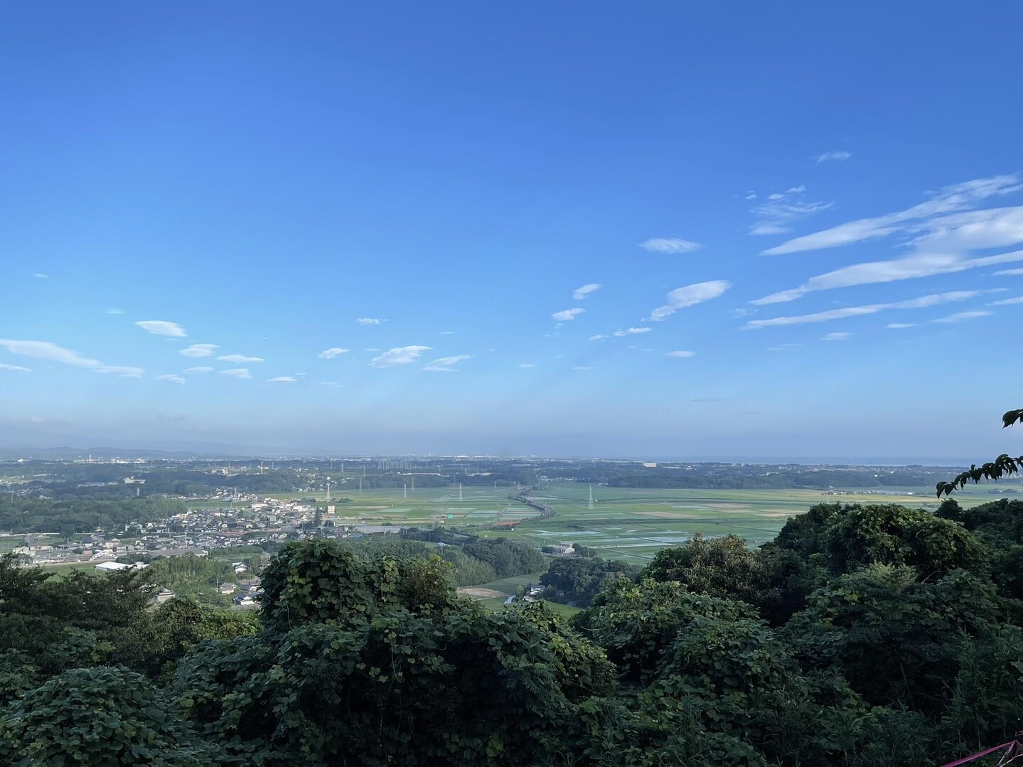 謎の看板USA『栗山』 / やっちゃんさんの御許山・雲ヶ岳・米神山の活動データ | YAMAP / ヤマップ