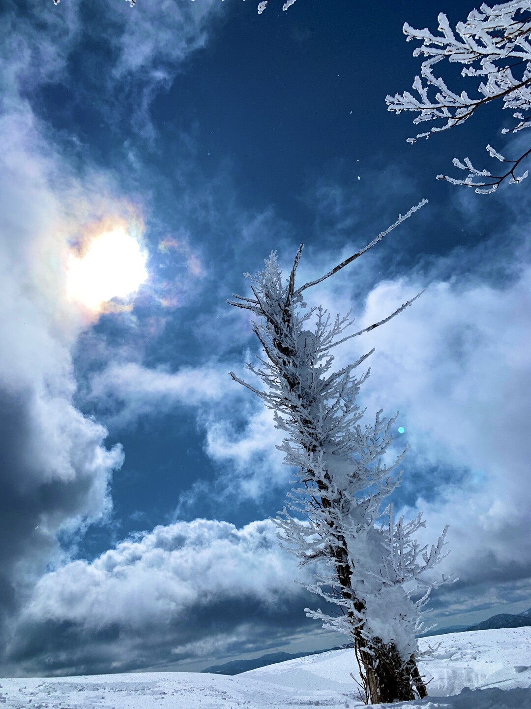 猪臥山 / kawaさんの猪臥山の活動データ | YAMAP / ヤマップ