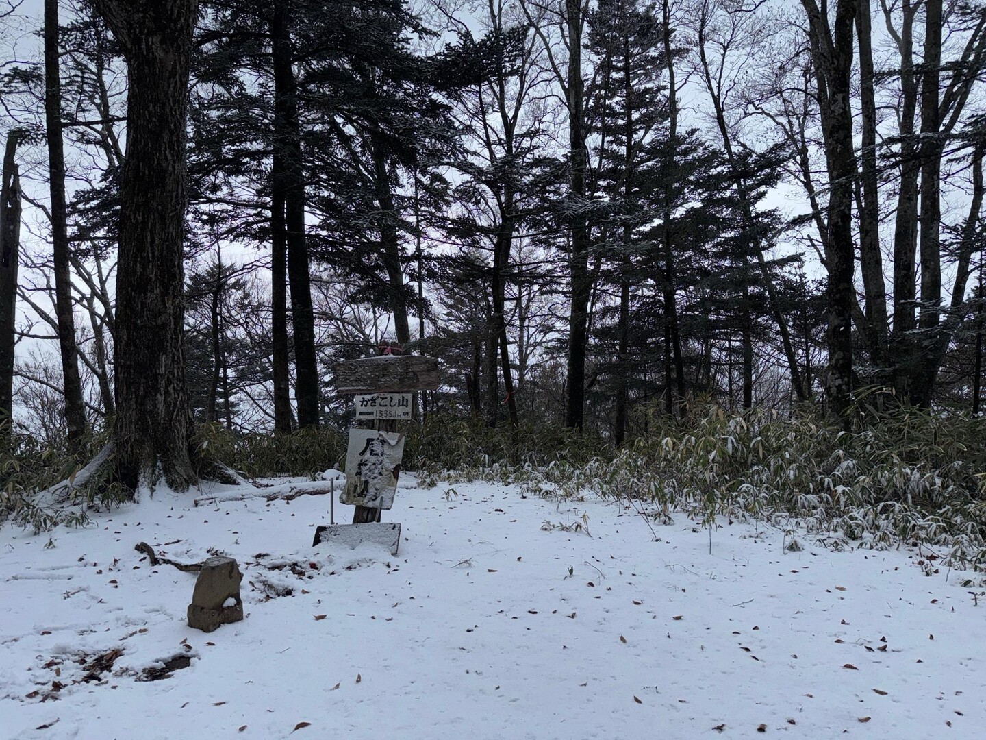 虚空蔵山・風越山 登山道雪情報 ️ / ANZUNUKOさんの風越山（権現山）・虚空蔵山の活動データ | YAMAP / ヤマップ