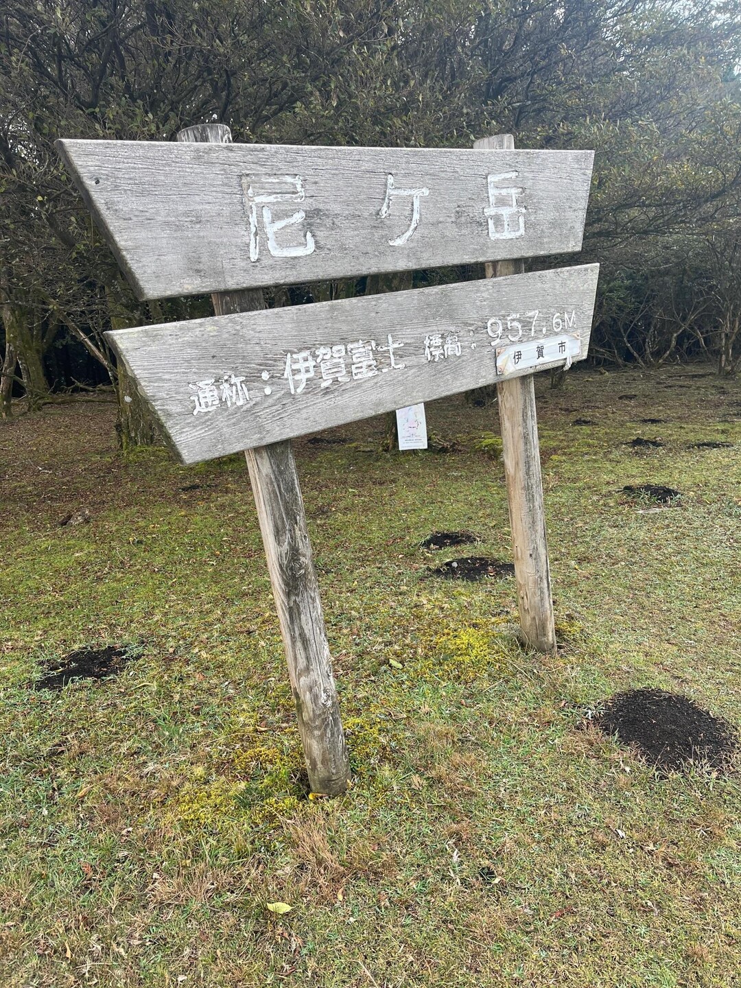 大洞山・尼ヶ岳 苔の石畳を楽しむ / do-yanさんの大洞山・尼ヶ岳の活動データ | YAMAP / ヤマップ