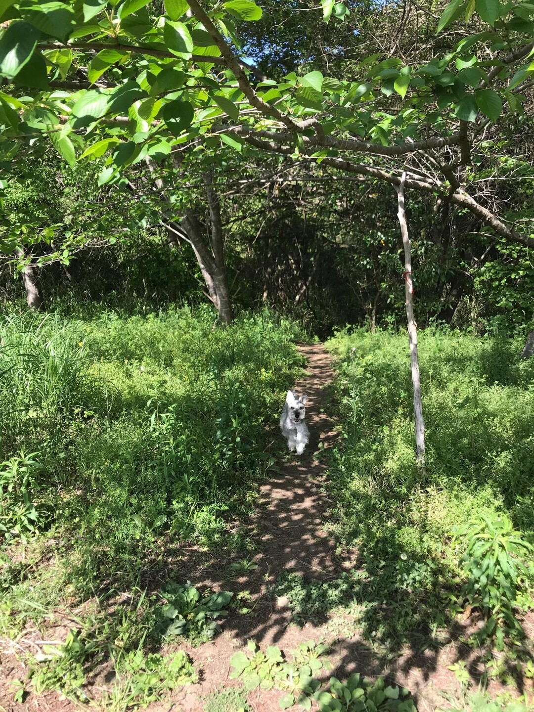 Meeyaさんの投稿したフィールドメモ | YAMAP / ヤマップ