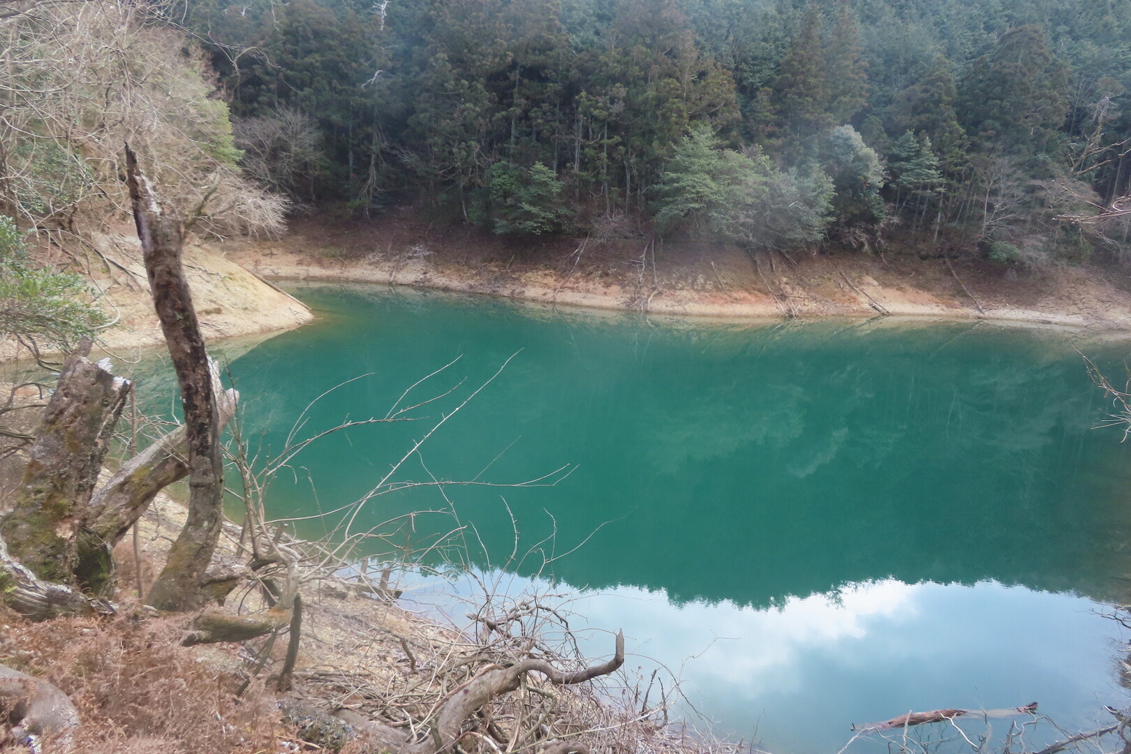 国分トレイル / ss43mさんの音羽山・醍醐山の活動データ | YAMAP / ヤマップ