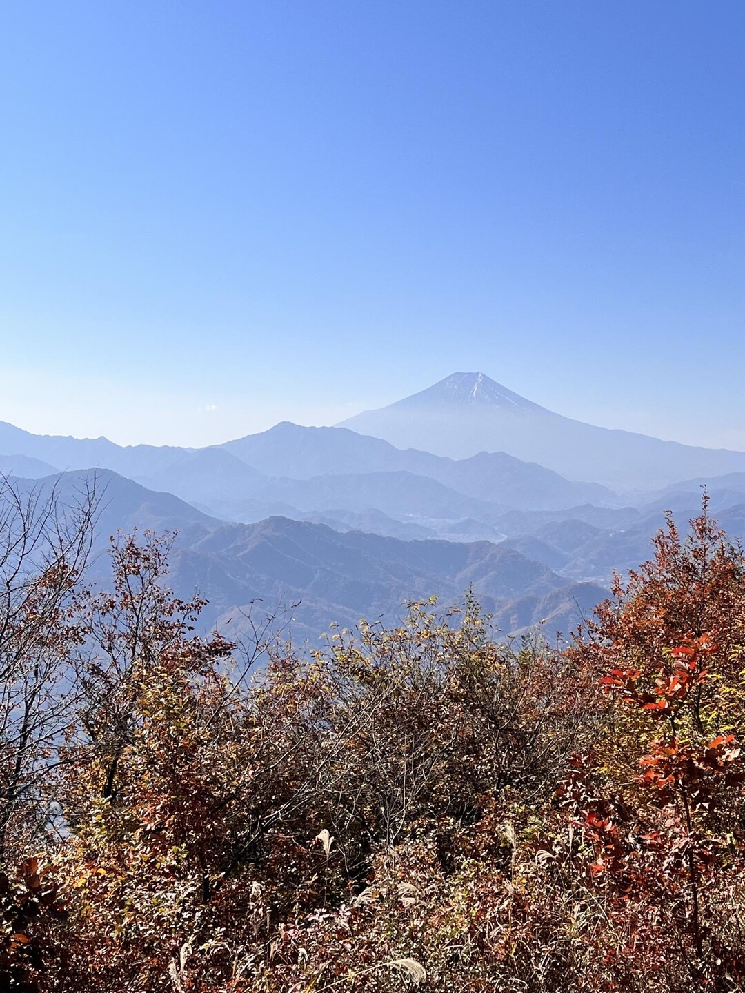 百蔵山・大同山 / asgymさんの百蔵山・扇山・権現山の活動データ | YAMAP / ヤマップ