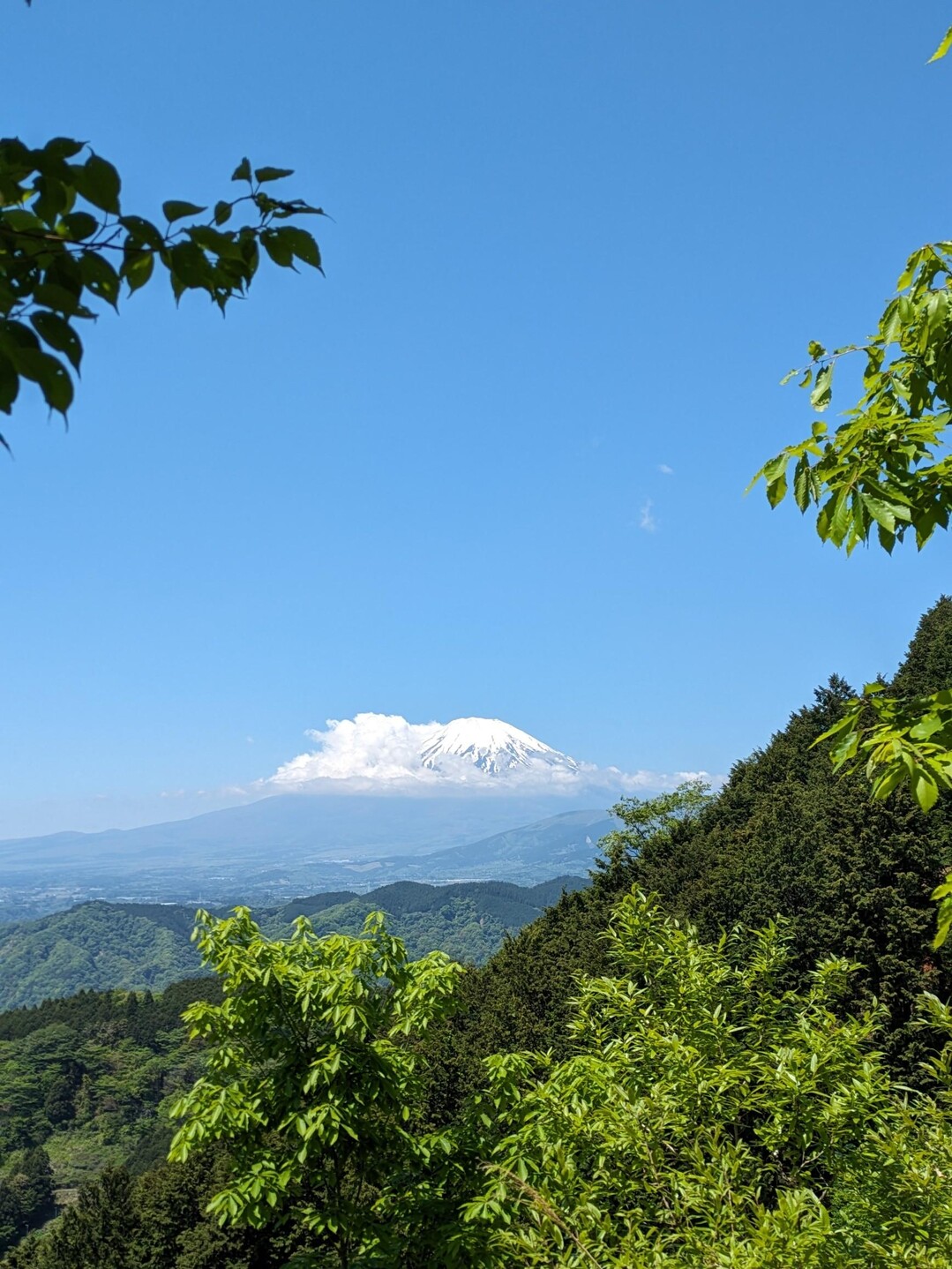 大野山 / Reiさんの高松山・大野山の活動データ | YAMAP / ヤマップ
