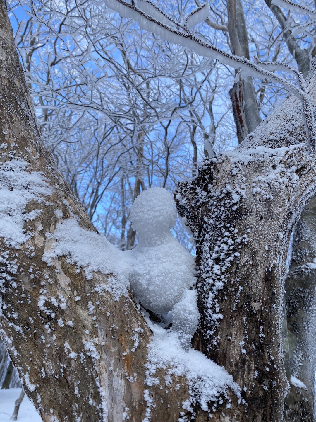 2/11の写真見返してたら雪だるまの足元... / kiyo🤝takeさんのモーメント | YAMAP / ヤマップ