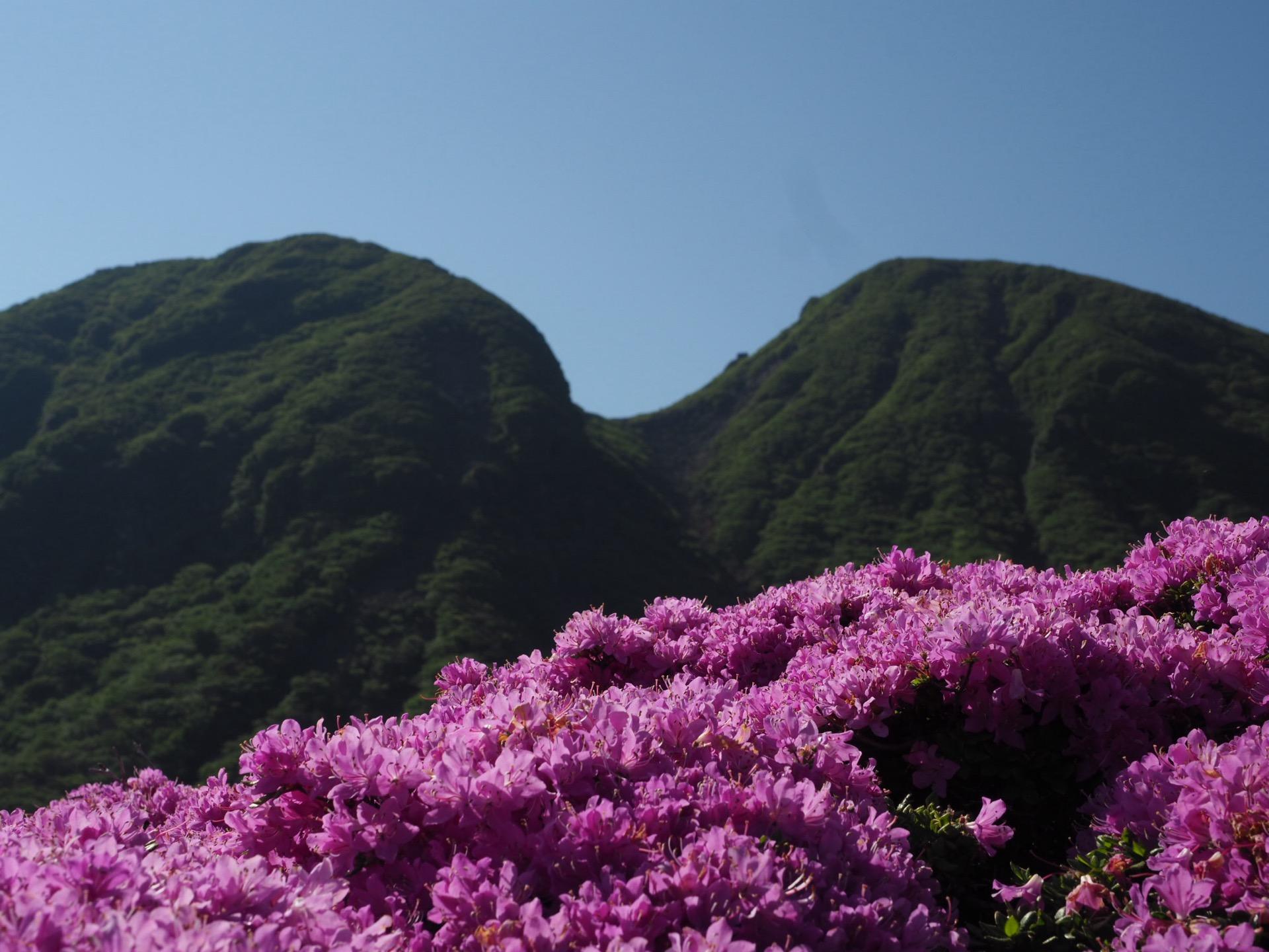 指山 MKを愛でに…Kuju / yosanさんの九重山（久住山）・大船山・星生山の活動日記 | YAMAP / ヤマップ