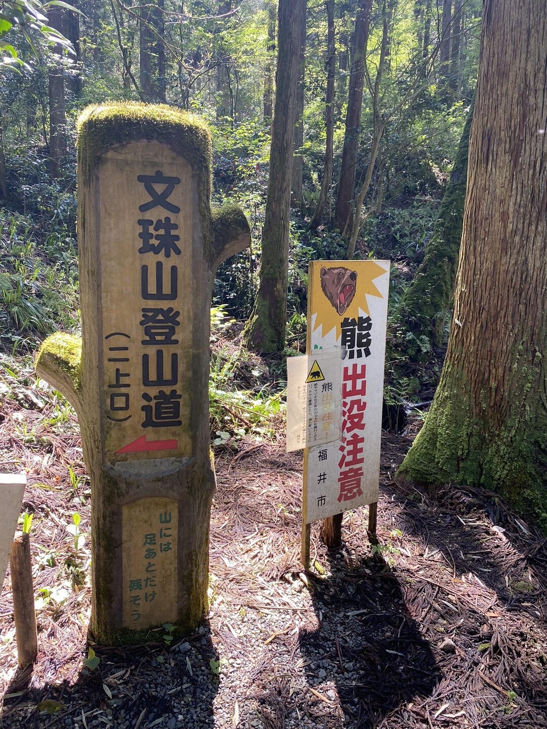 文殊山・文殊山（奥の院） / Shigexさんの文殊山の活動データ | YAMAP / ヤマップ