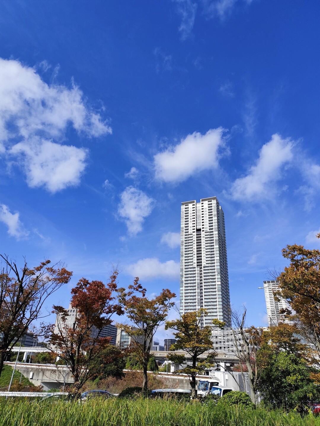 ランニング-2024-11-23 / Kazhiさんのランニングの活動データ | YAMAP / ヤマップ