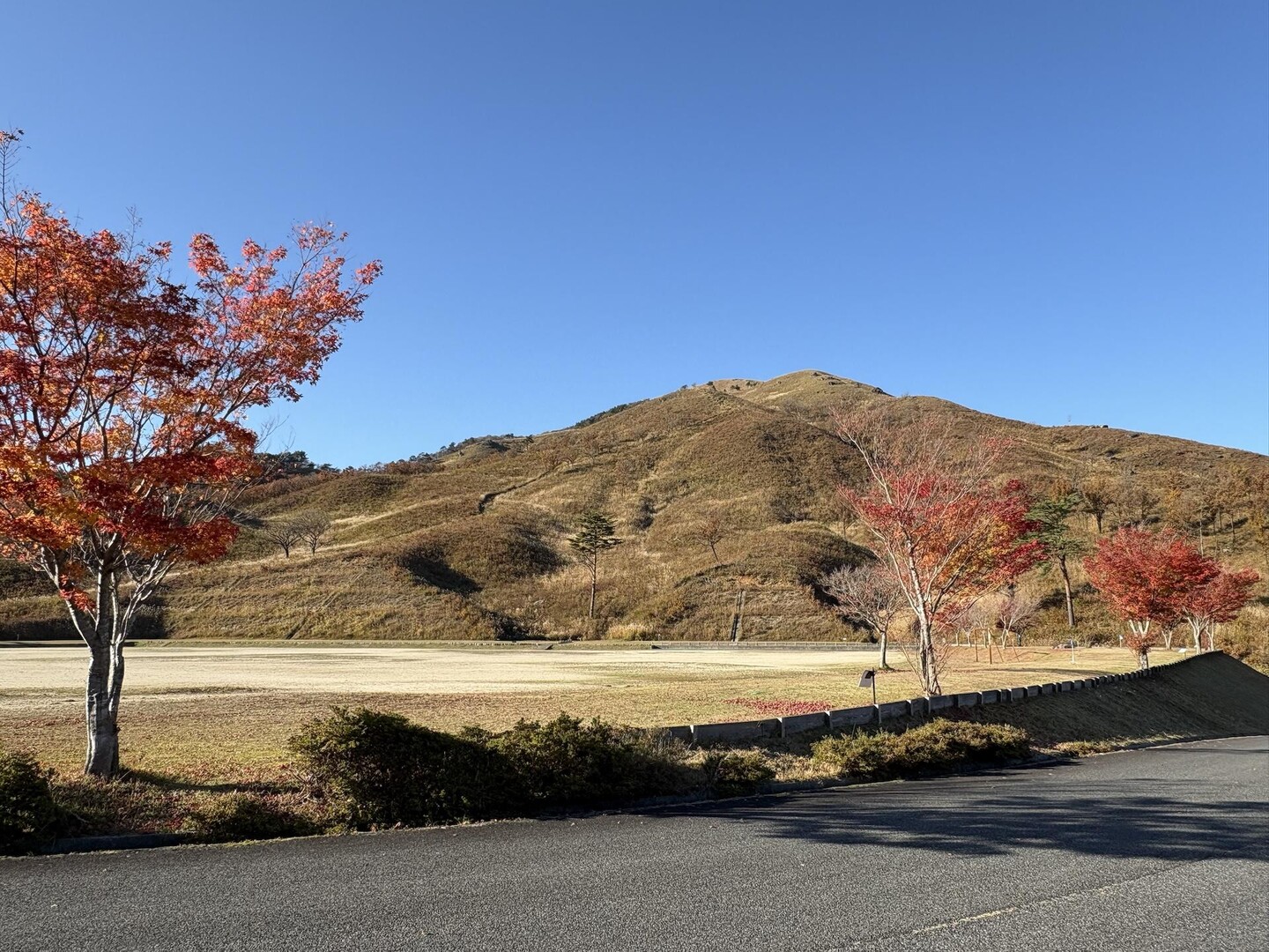 深入山 / aya_mt_s.15さんの深入山の活動日記 | YAMAP / ヤマップ