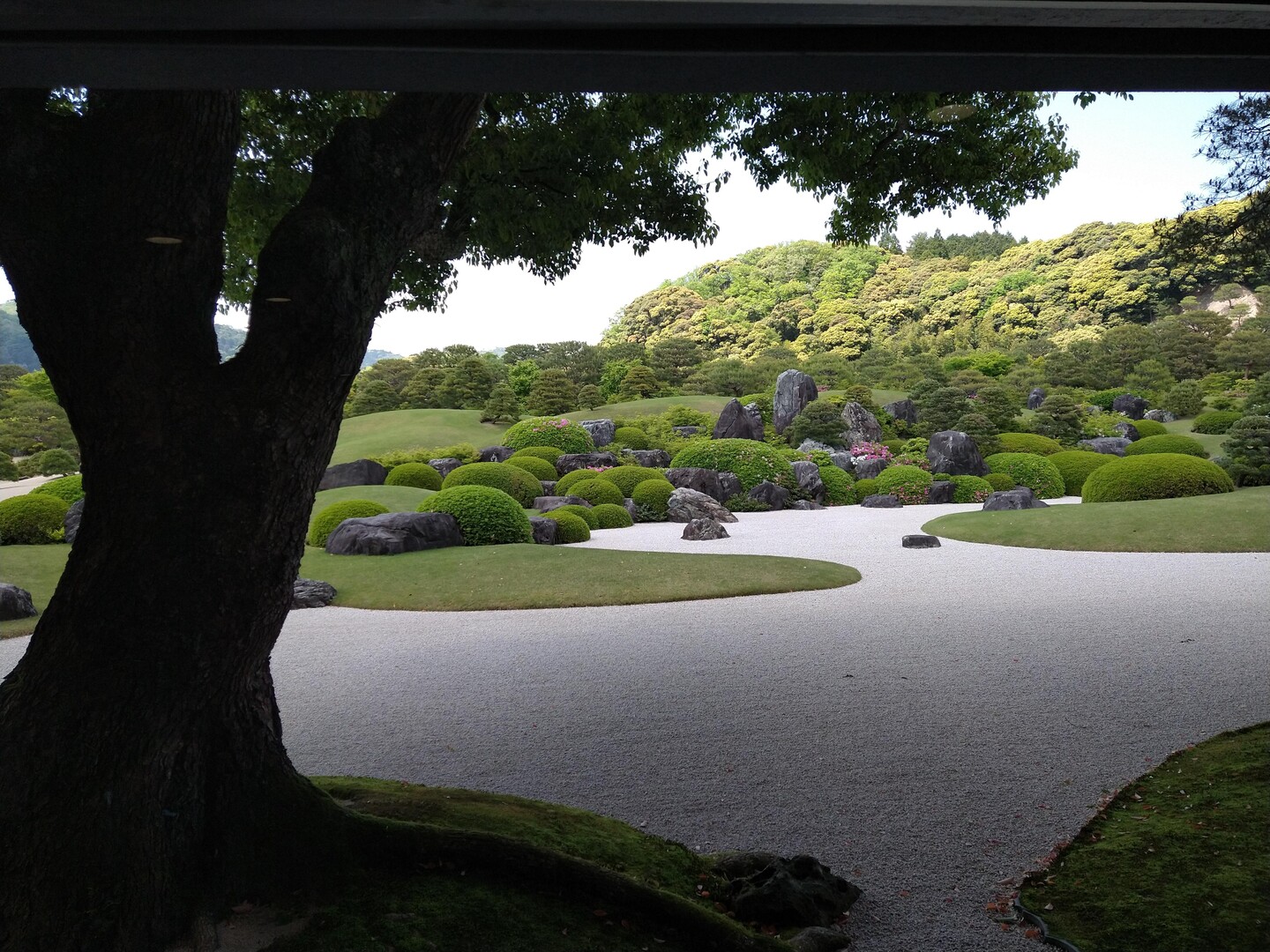 精緻の足立美術館 計算... / ひげGさんのモーメント | YAMAP / ヤマップ