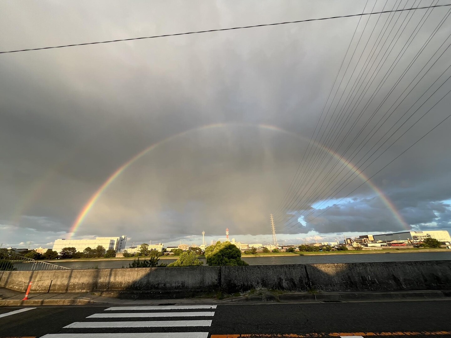 昨日の出来事 公園でぼんやりしてたら急に... / とっとさんのモーメント | YAMAP / ヤマップ