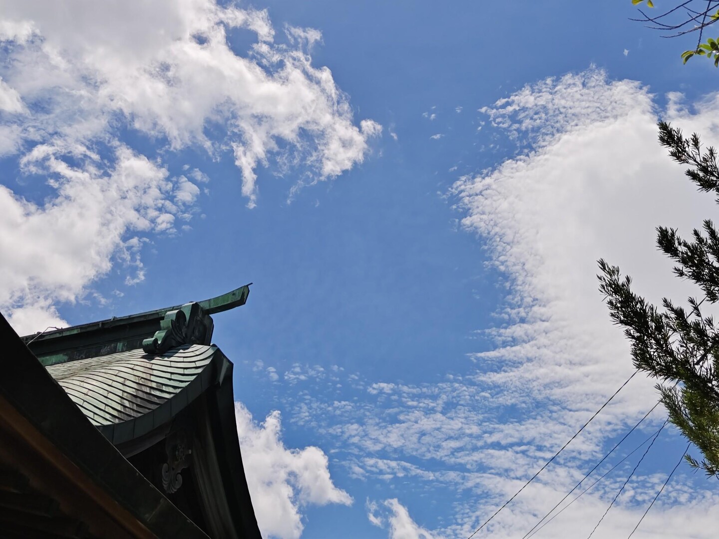 69😆愛宕山 / megさんの能古島の活動データ | YAMAP / ヤマップ