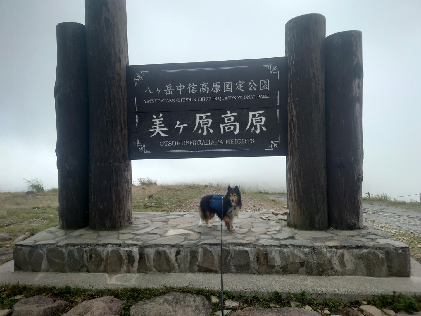 牛伏山・美ヶ原（王ヶ頭）・王ヶ鼻 / Teddyさんの美ヶ原の活動データ | YAMAP / ヤマップ