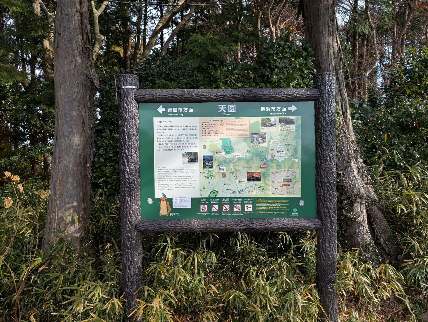 大丸山・天園・天台山・胡桃山 / Nuruma_Uさんの鎌倉アルプス（大平山・天台山）の活動データ | YAMAP / ヤマップ