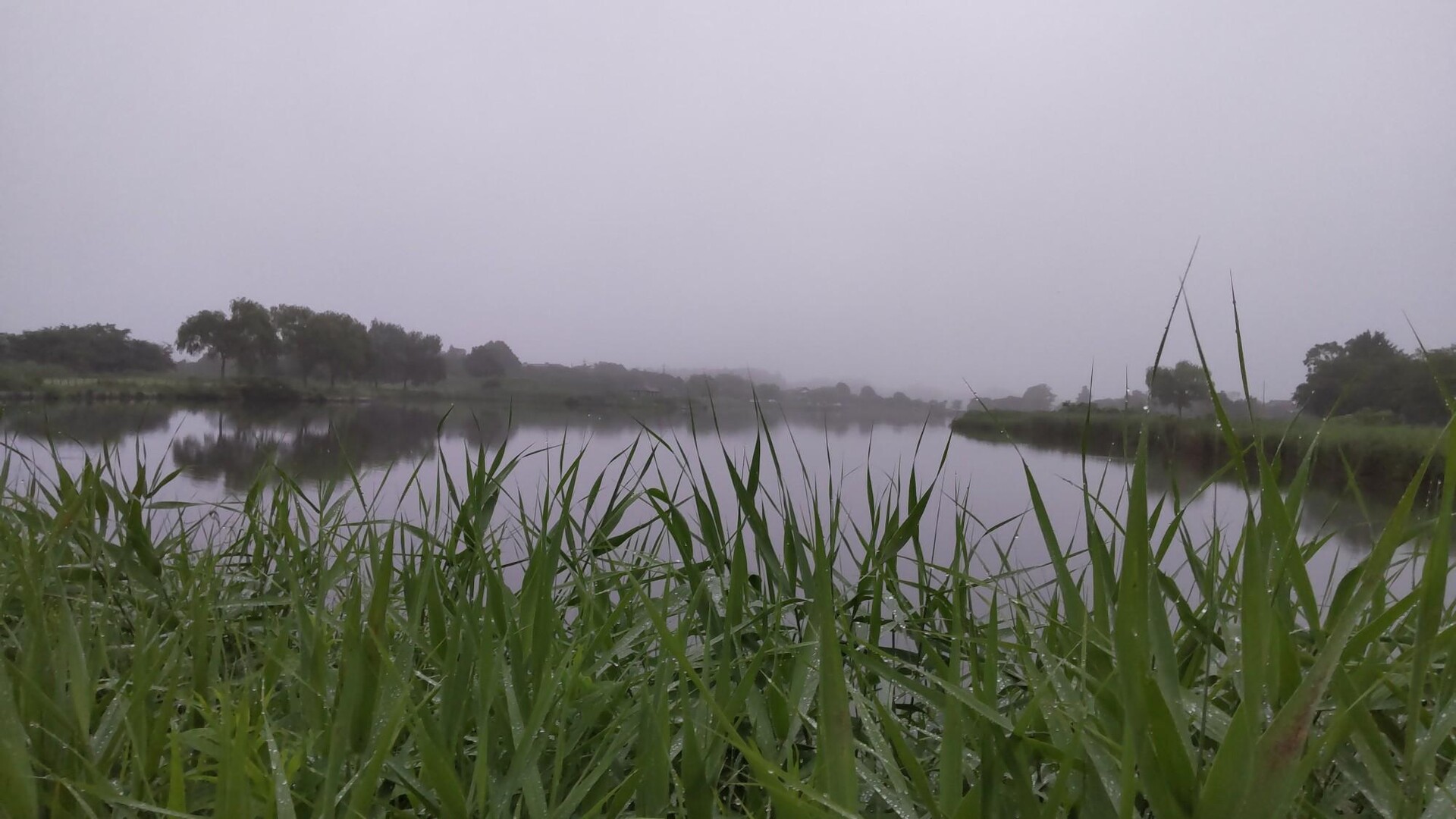 鶴沼山 6/12 / toshiさんの霞ヶ浦の活動データ | YAMAP / ヤマップ