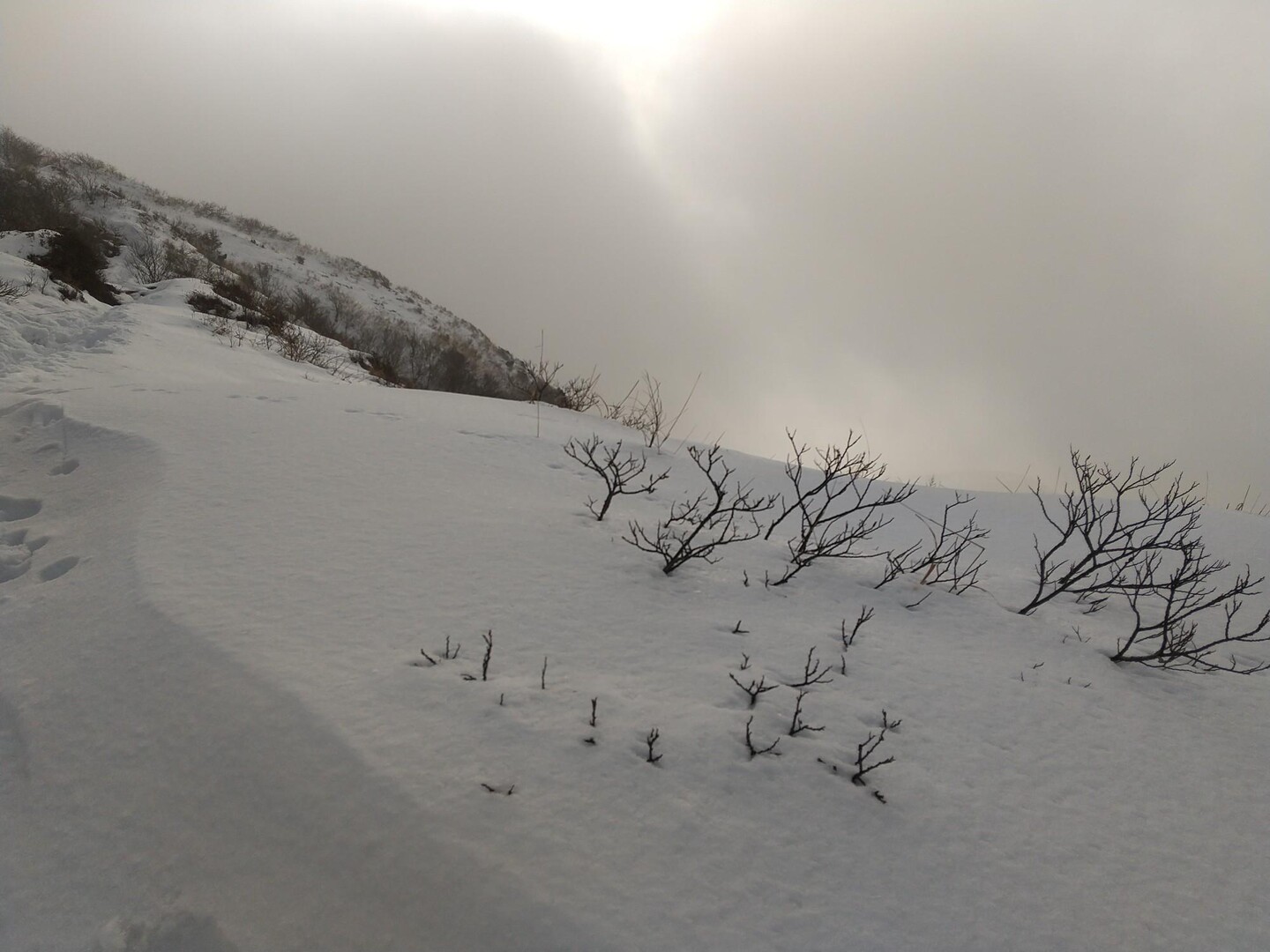 Happyな男三瓶山(三瓶山) / mipotさんの三瓶山・大平山の活動日記 | YAMAP / ヤマップ