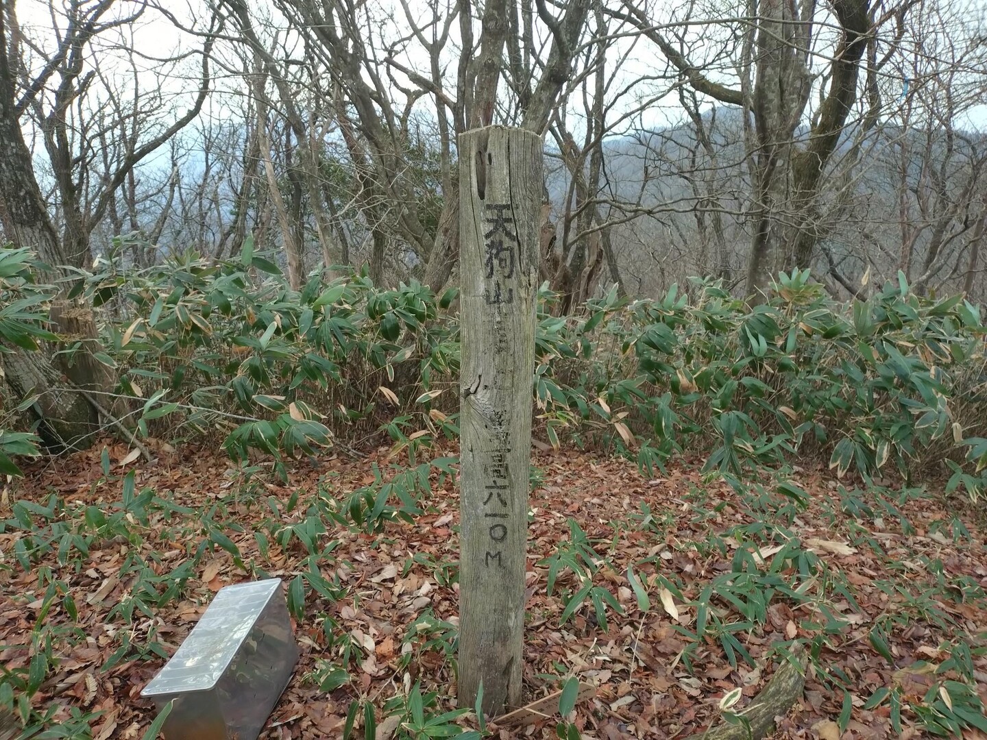 天狗山 / VDGGさんの天馬山の活動データ | YAMAP / ヤマップ