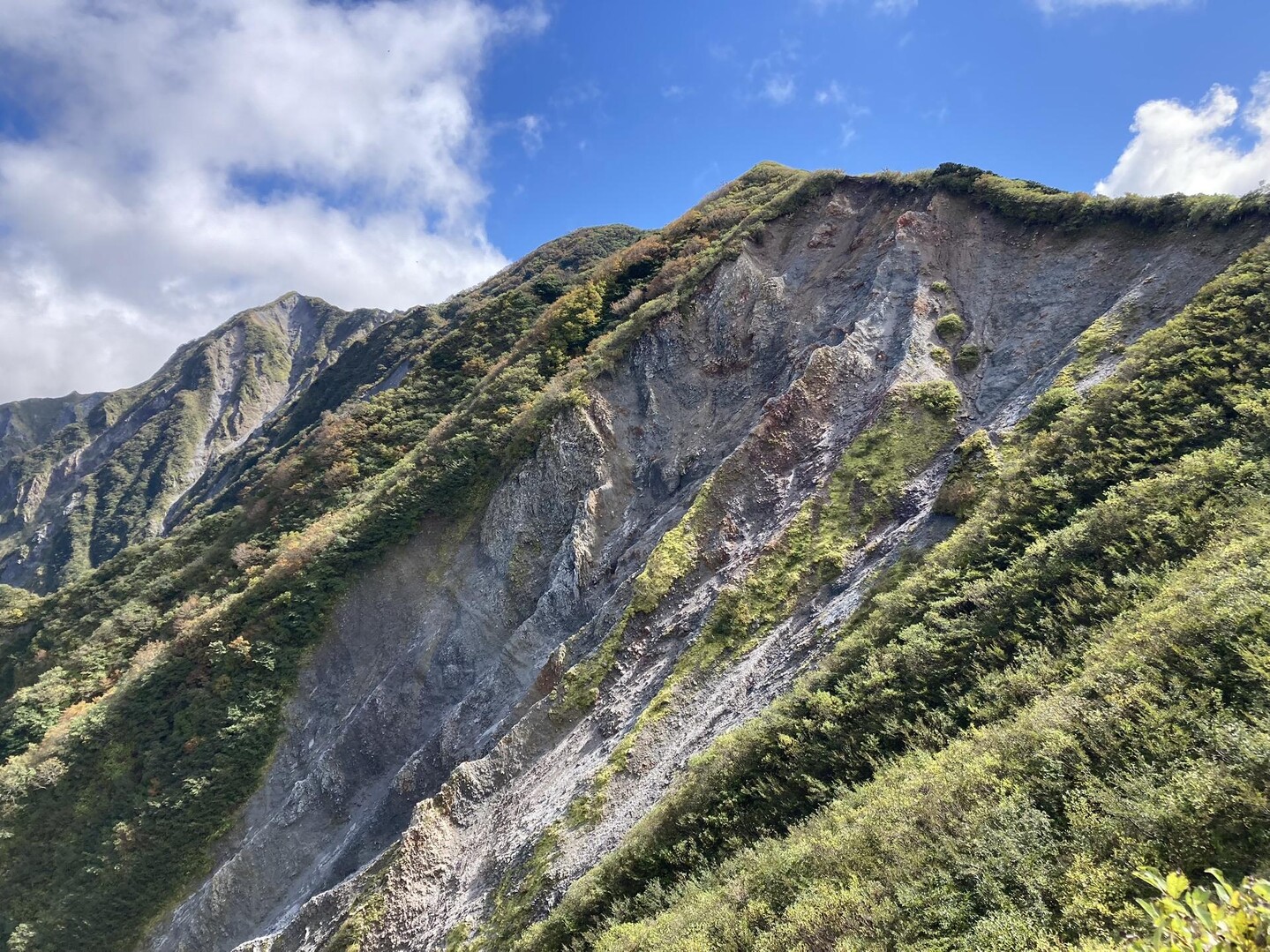 大山 満喫 ️ 🥾＆😋🍇🍡 / BONDIさんの大山・甲ヶ山・野田ヶ山の活動データ | YAMAP / ヤマップ