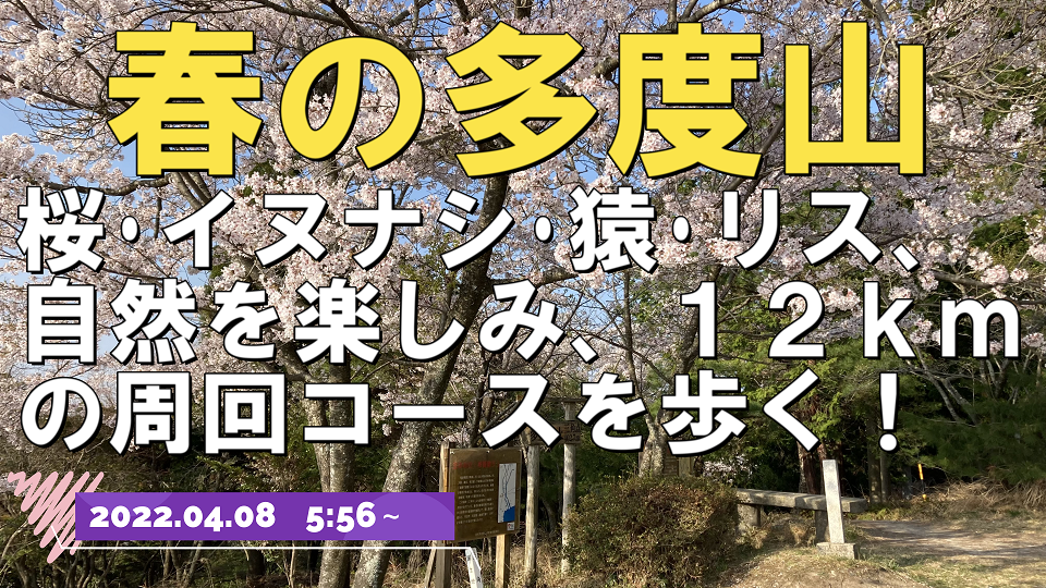 2022/4/8【春の多度山】12km周... / Kyoheiさんのモーメント | YAMAP / ヤマップ