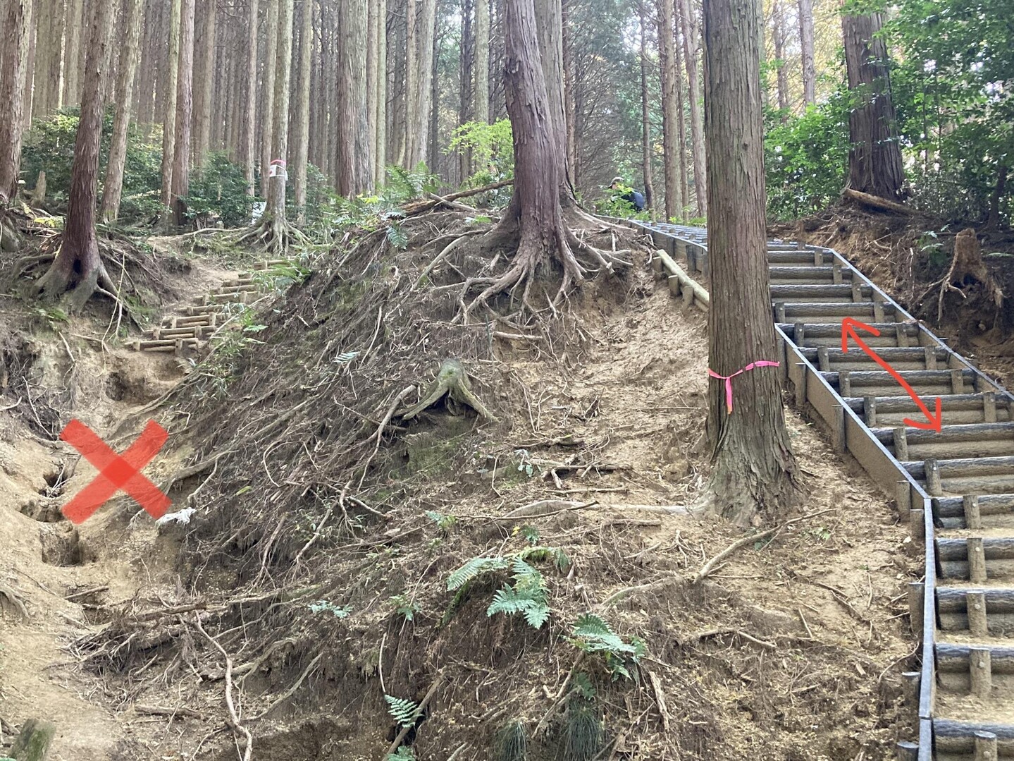 kazz309さんの投稿したフィールドメモ | YAMAP / ヤマップ