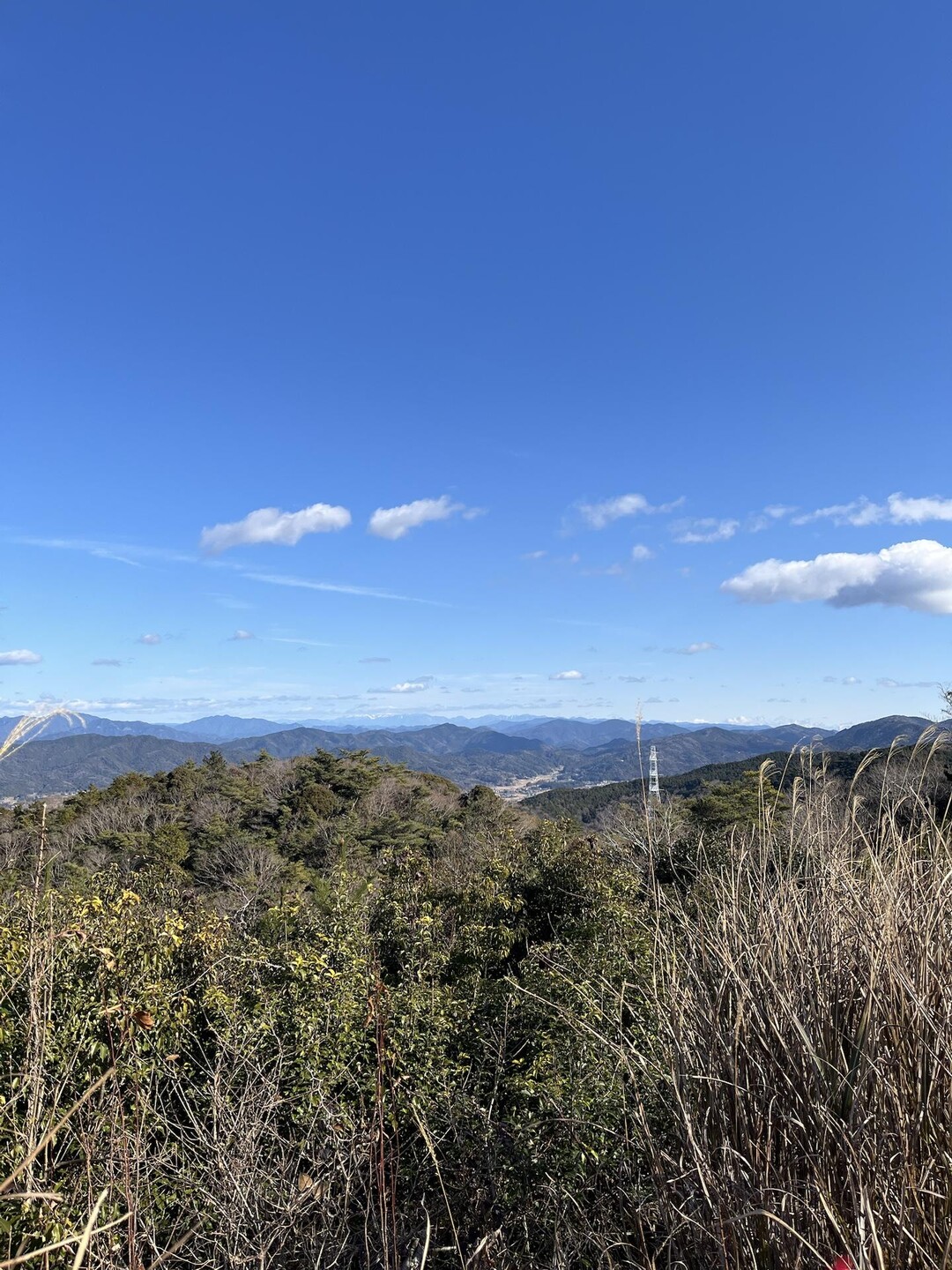 大原調整池から五葉山 五葉城址 / cocoさんの坊ヶ峰・石巻山・神石山・葦毛湿原の活動データ | YAMAP / ヤマップ