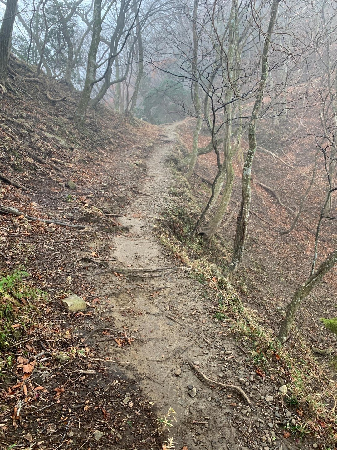 oioiさんの投稿したフィールドメモ | YAMAP / ヤマップ