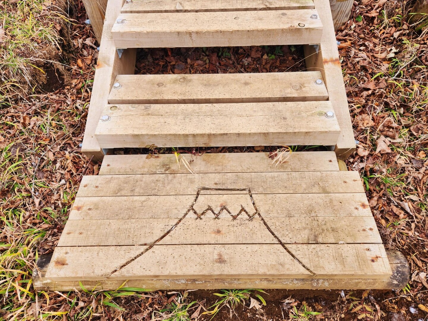 加入道山・前大室・大室山 / chillさんの塔ノ岳・丹沢山・蛭ヶ岳の活動日記 | YAMAP / ヤマップ