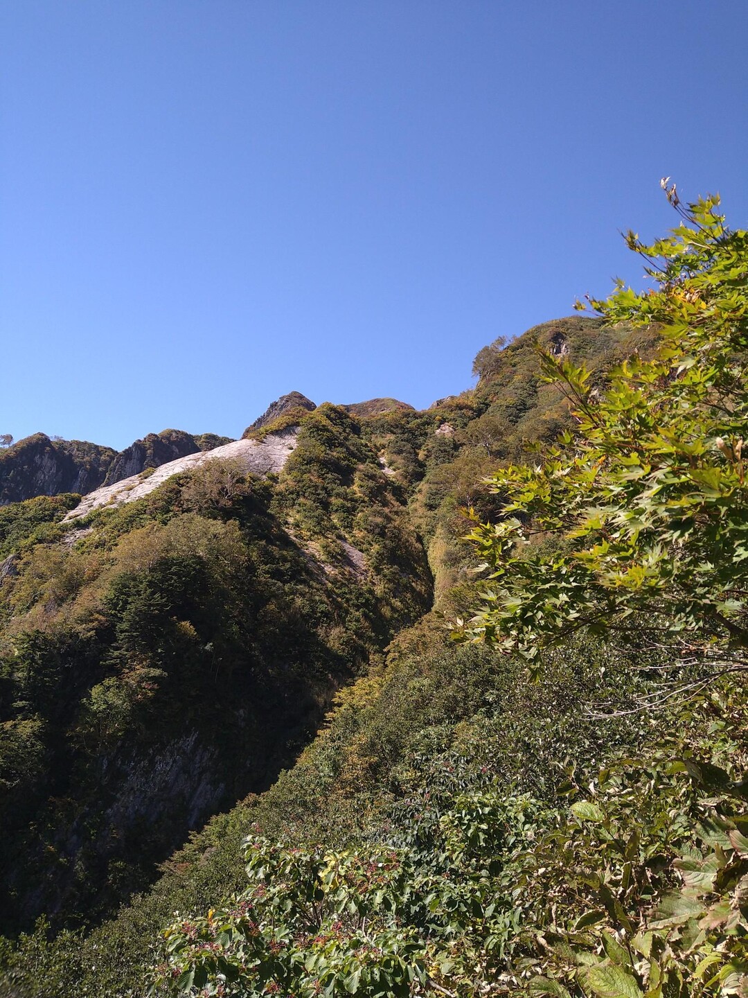 まなっPさんの投稿したフィールドメモ | YAMAP / ヤマップ