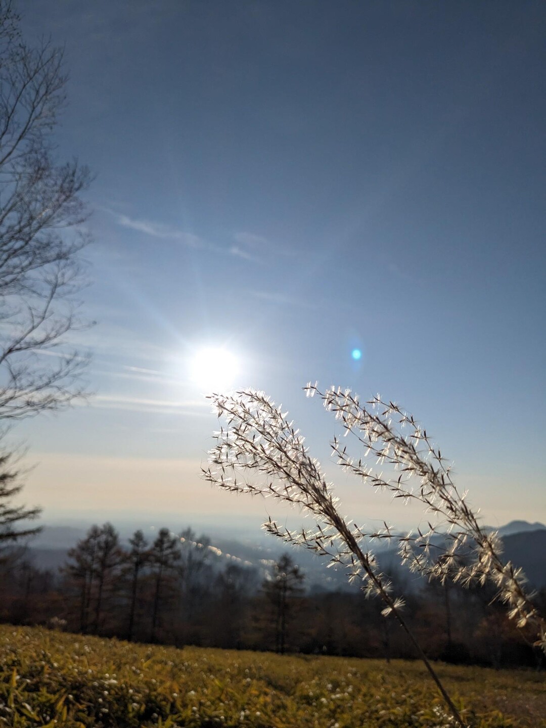 女峰山への道のりは辛く長い⛰️ / K1_Yuukiさんの女峰山・赤薙山・大真名子山の活動データ | YAMAP / ヤマップ