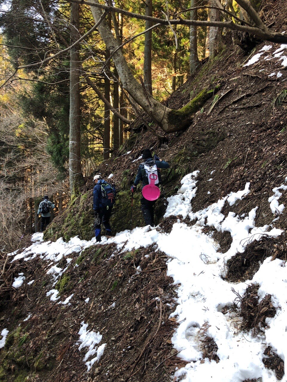 SACHIKO.さんの投稿したフィールドメモ | YAMAP / ヤマップ