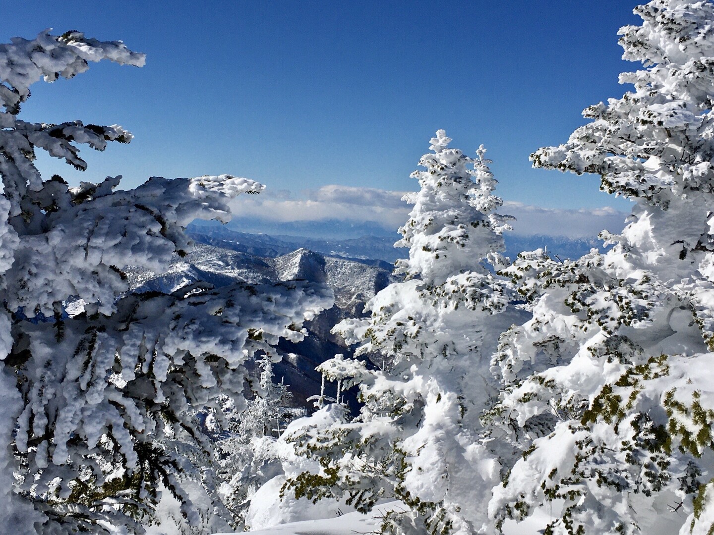横手山 / michyさんの横手山・志賀山・赤石山の活動データ | YAMAP / ヤマップ