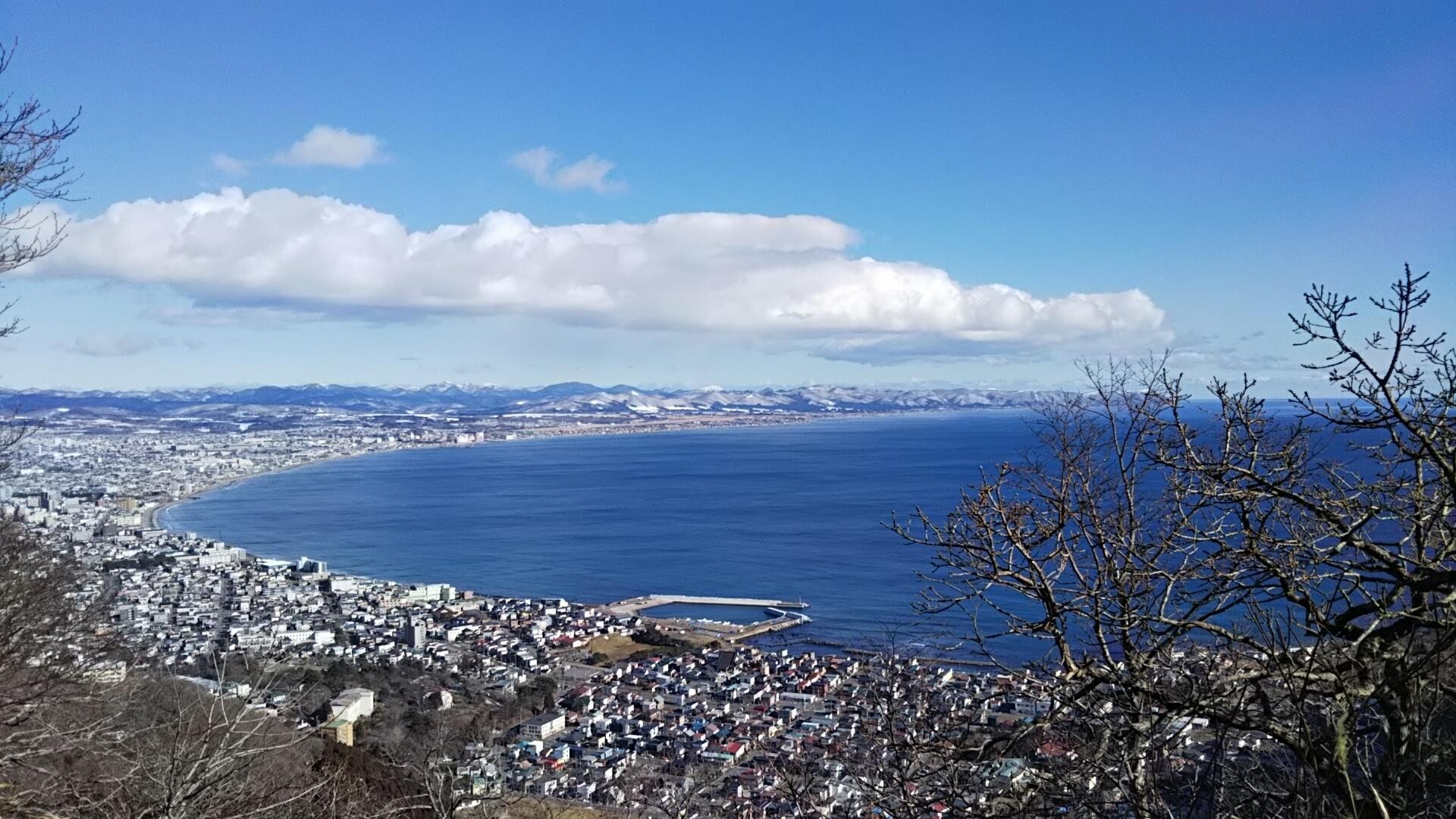函館山🚶🏻🚶🏻‍♀️🚶‍♀️2 / keiさんの函館市の活動データ | YAMAP / ヤマップ