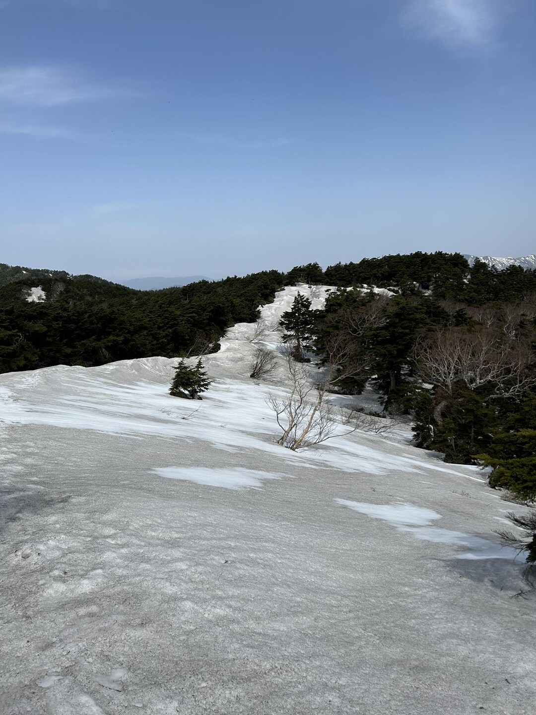 大佐飛山、黒滝山 / yuu39さんの黒滝山・百村山の活動データ | YAMAP / ヤマップ