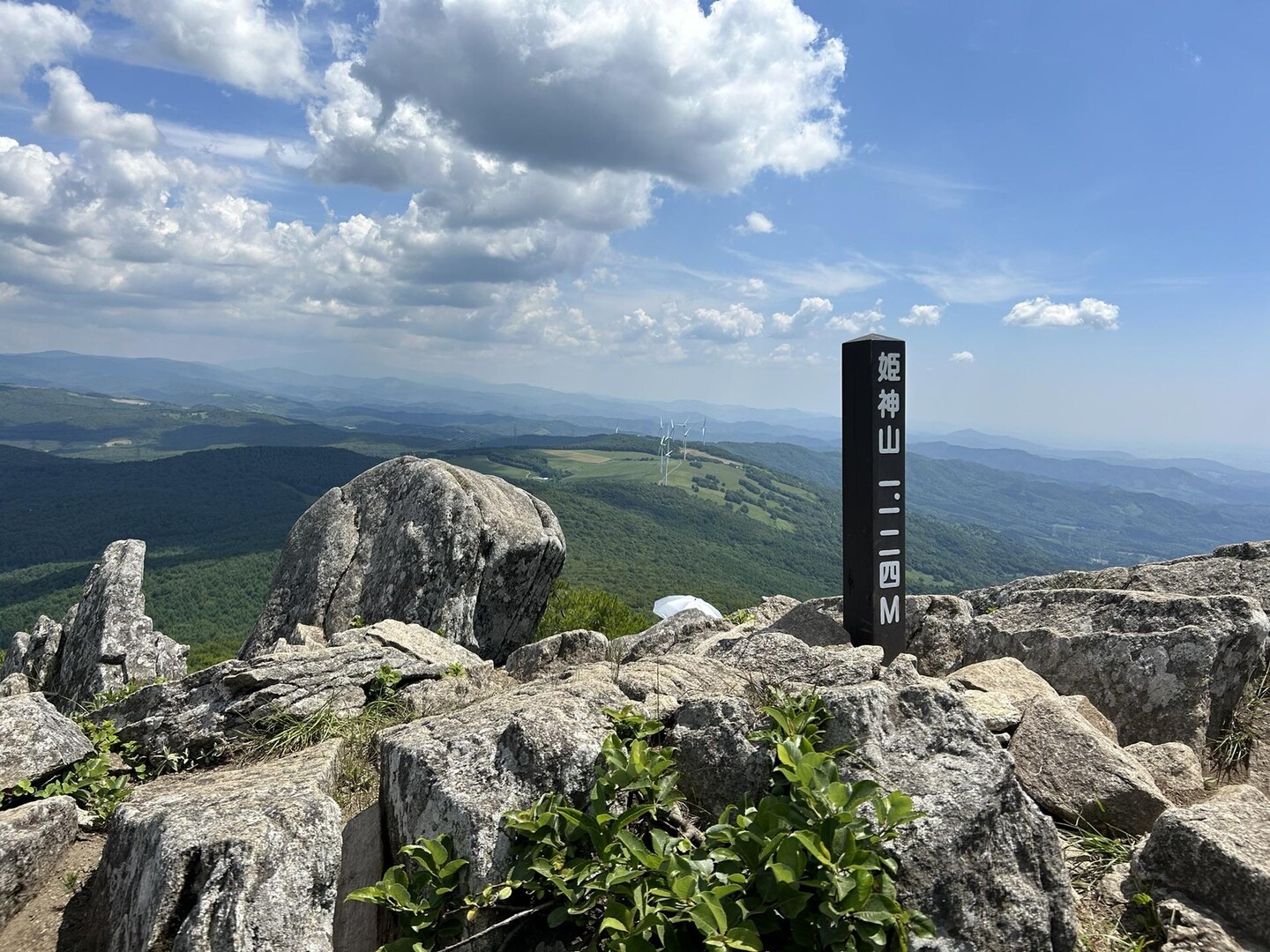 2024-06-29 姫神山 / nakkoさんのウォーキングの活動データ | YAMAP / ヤマップ