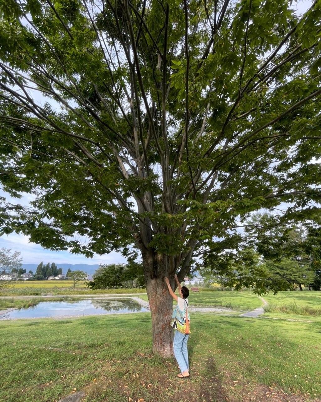 akariのページ | YAMAP / ヤマップ