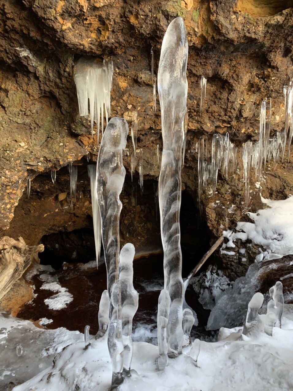 2021.02.28(日) 09:32 / チョッパーさんのモーメント | YAMAP / ヤマップ