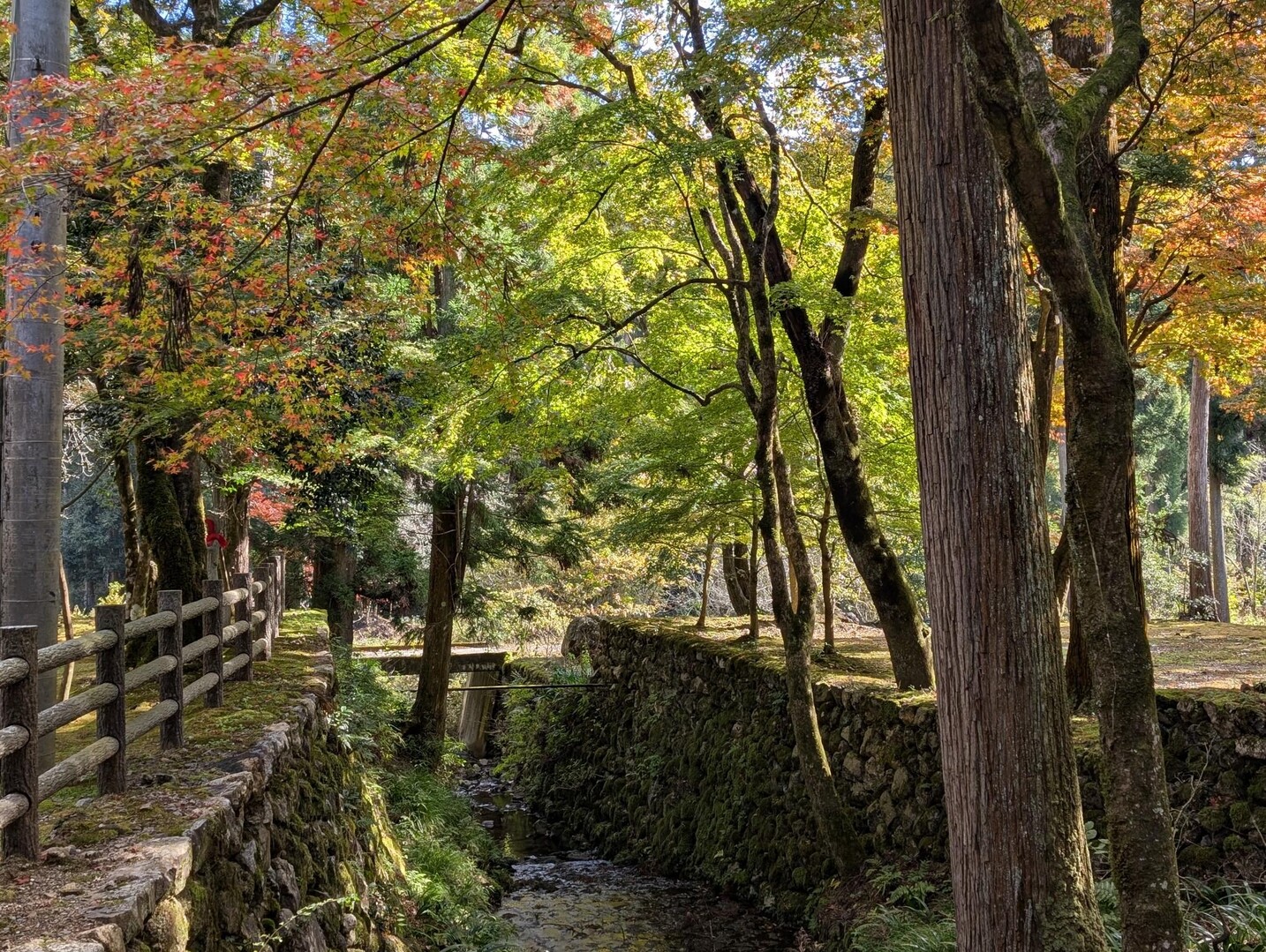 美濃國山城トレイル華厳寺巡礼 / dkさんの大谷山・滝谷山・城ヶ峰の活動データ | YAMAP / ヤマップ
