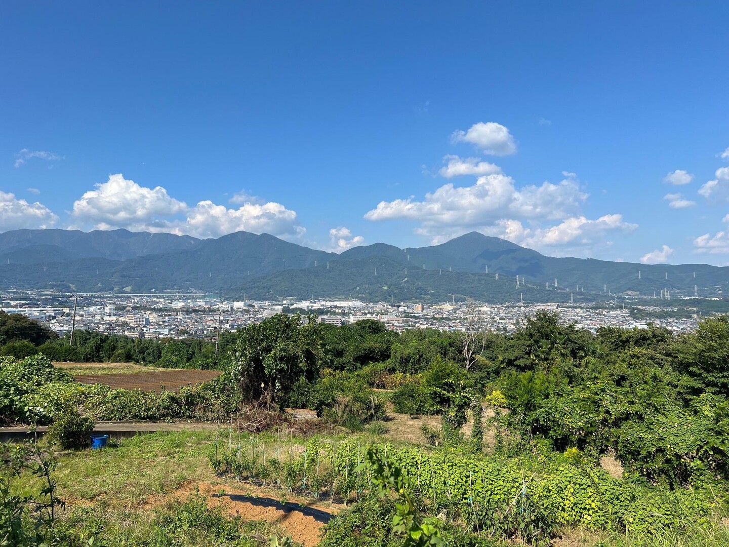 八国見山 / Nic_kgさんの八国見山・頭高山の活動データ | YAMAP / ヤマップ