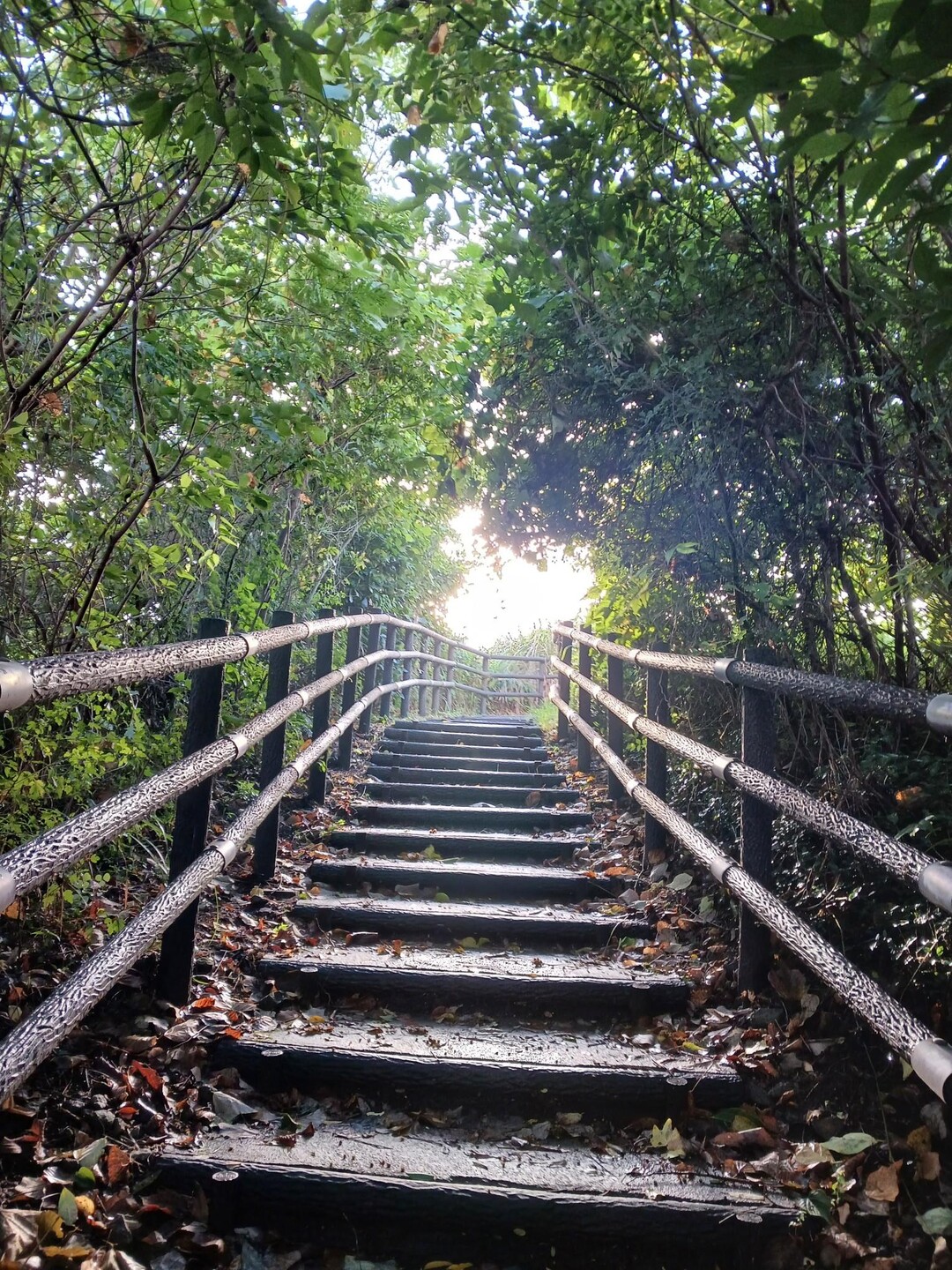 RUNﾄﾚ🏃‍♂️ ROAD ㌔7 LSD 職場～石神山 / 楽かずくんさんの金峰山・二ノ岳・三ノ岳の活動データ | YAMAP / ヤマップ
