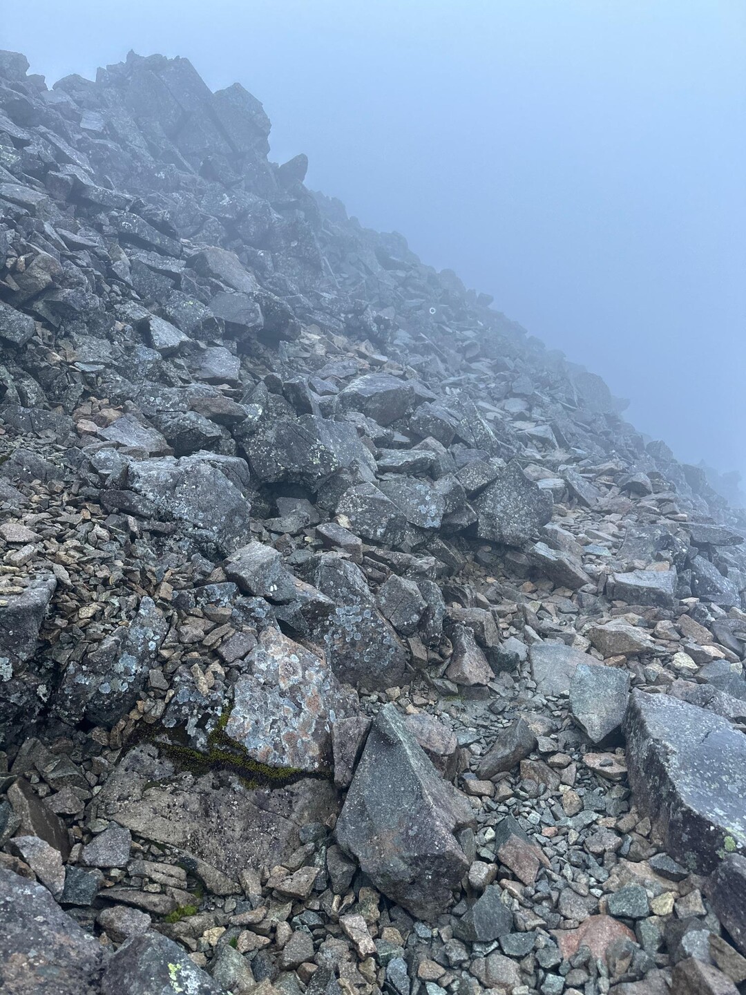 真彦さんの投稿したフィールドメモ | YAMAP / ヤマップ