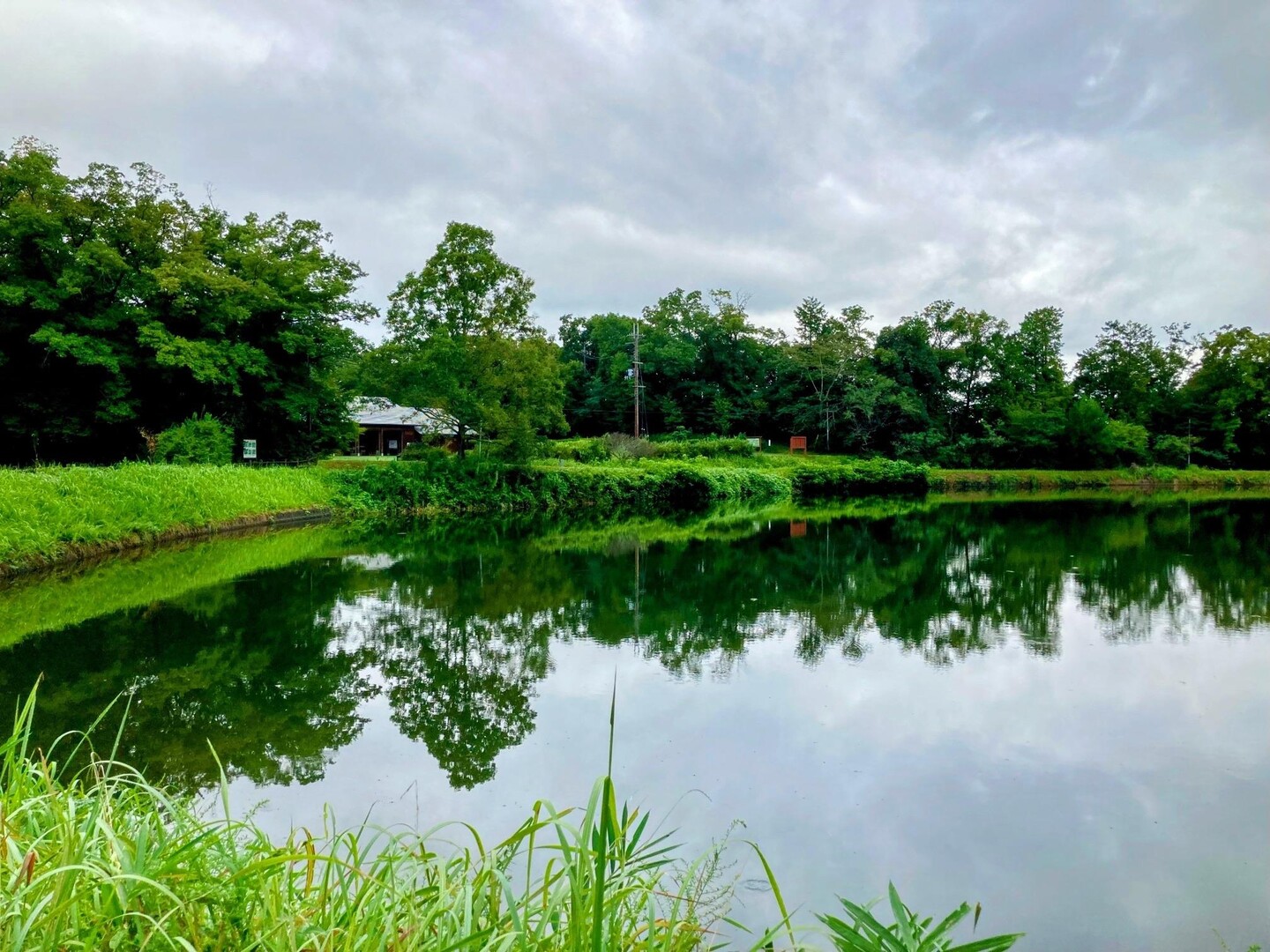 おはようトレラン🌤️矢田丘陵 / Mariさんの矢田丘陵・法隆寺の活動データ | YAMAP / ヤマップ