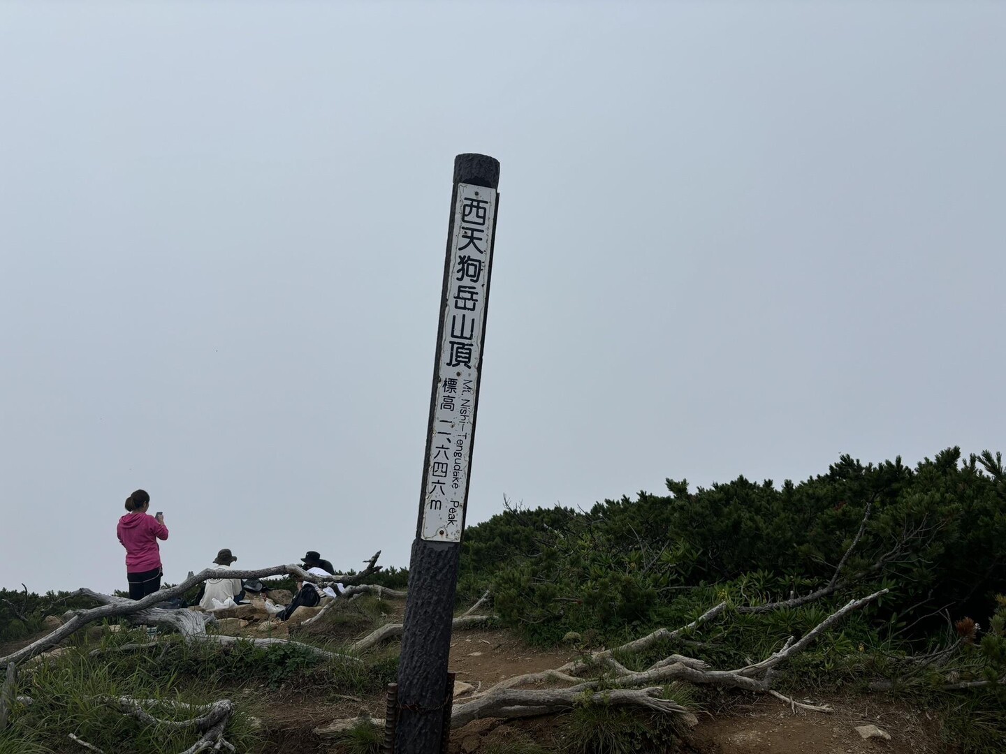 天狗岳👺 / jasmineさんの八ヶ岳（赤岳・硫黄岳・天狗岳）の活動データ | YAMAP / ヤマップ