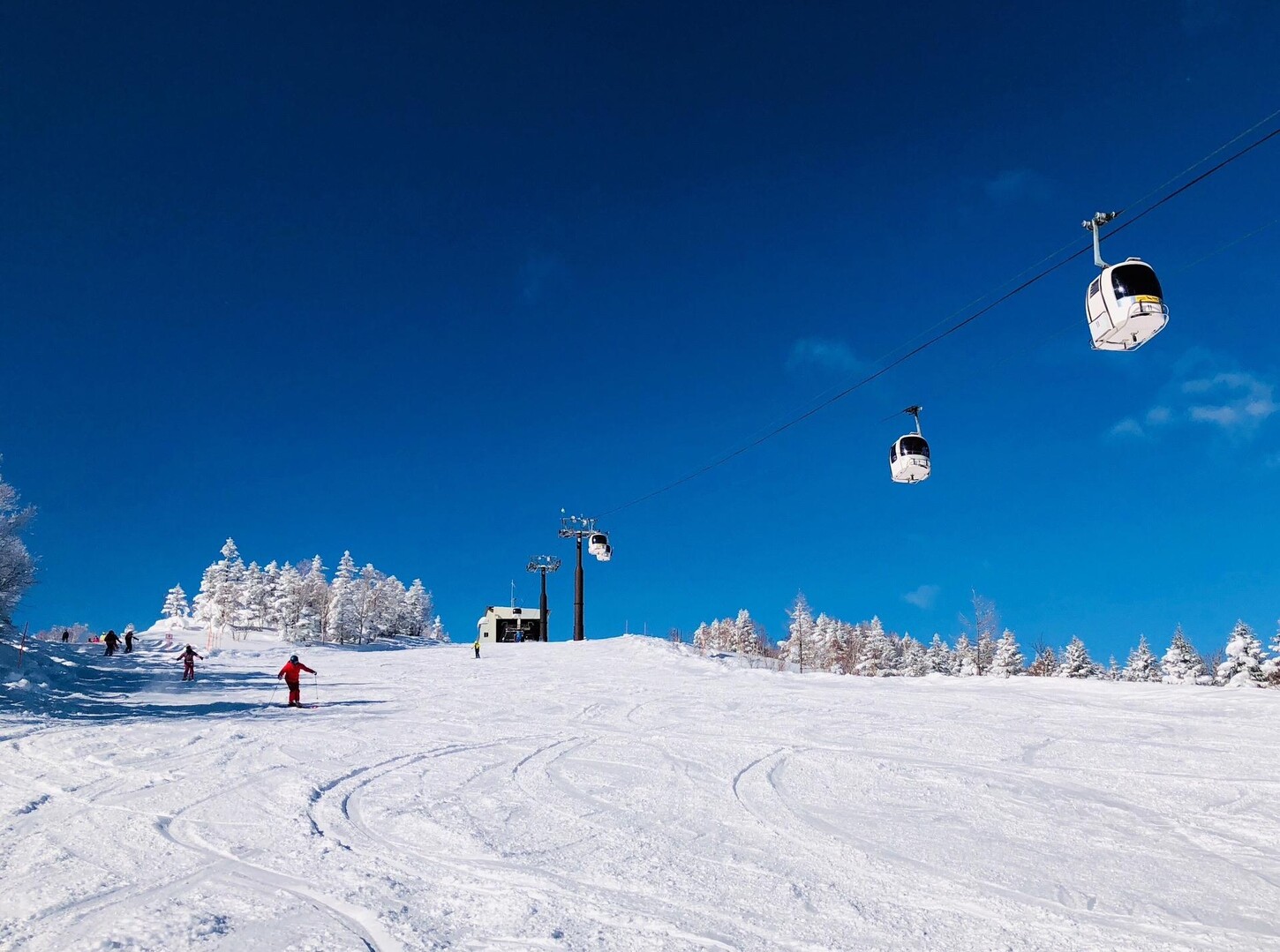 志賀高原 〜絶景！周遊スキー〜 / BMさんの焼額山の活動データ | YAMAP / ヤマップ