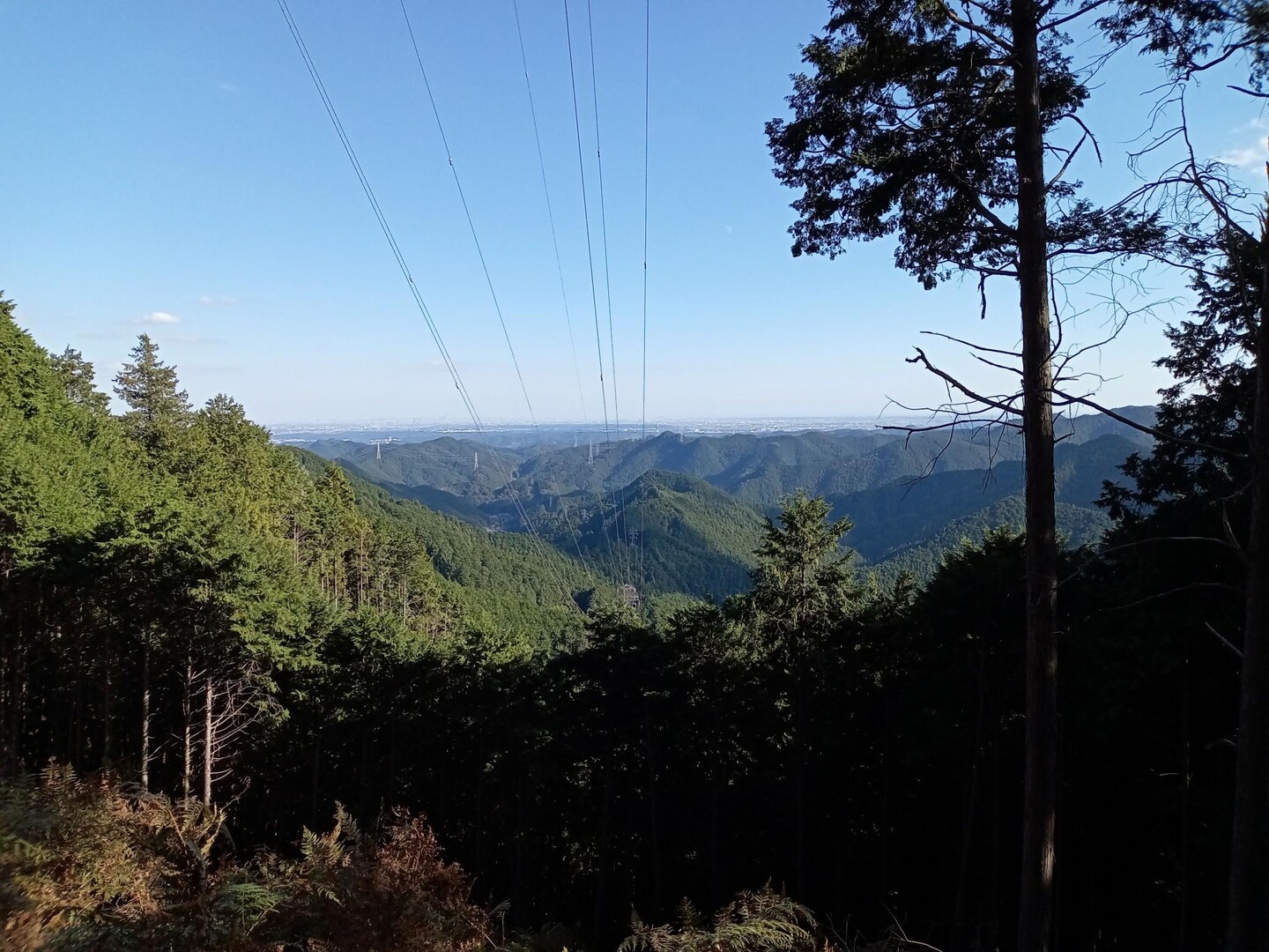 FTR試走 / shio13さんの棒ノ折山（棒ノ嶺）の活動データ | YAMAP / ヤマップ